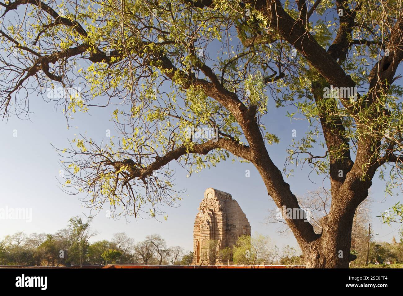 Architecture heritage teli ka temple Gwalior, Madhya Pradesh, India, Asia Stock Photo - Alamy