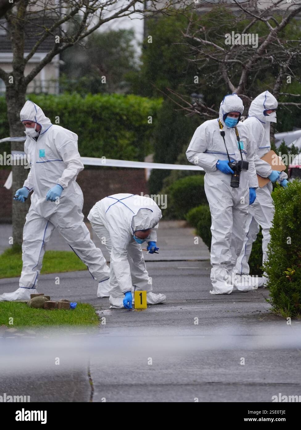 Garda forensics officers near to the scene in the Gainsborough Lawn ...
