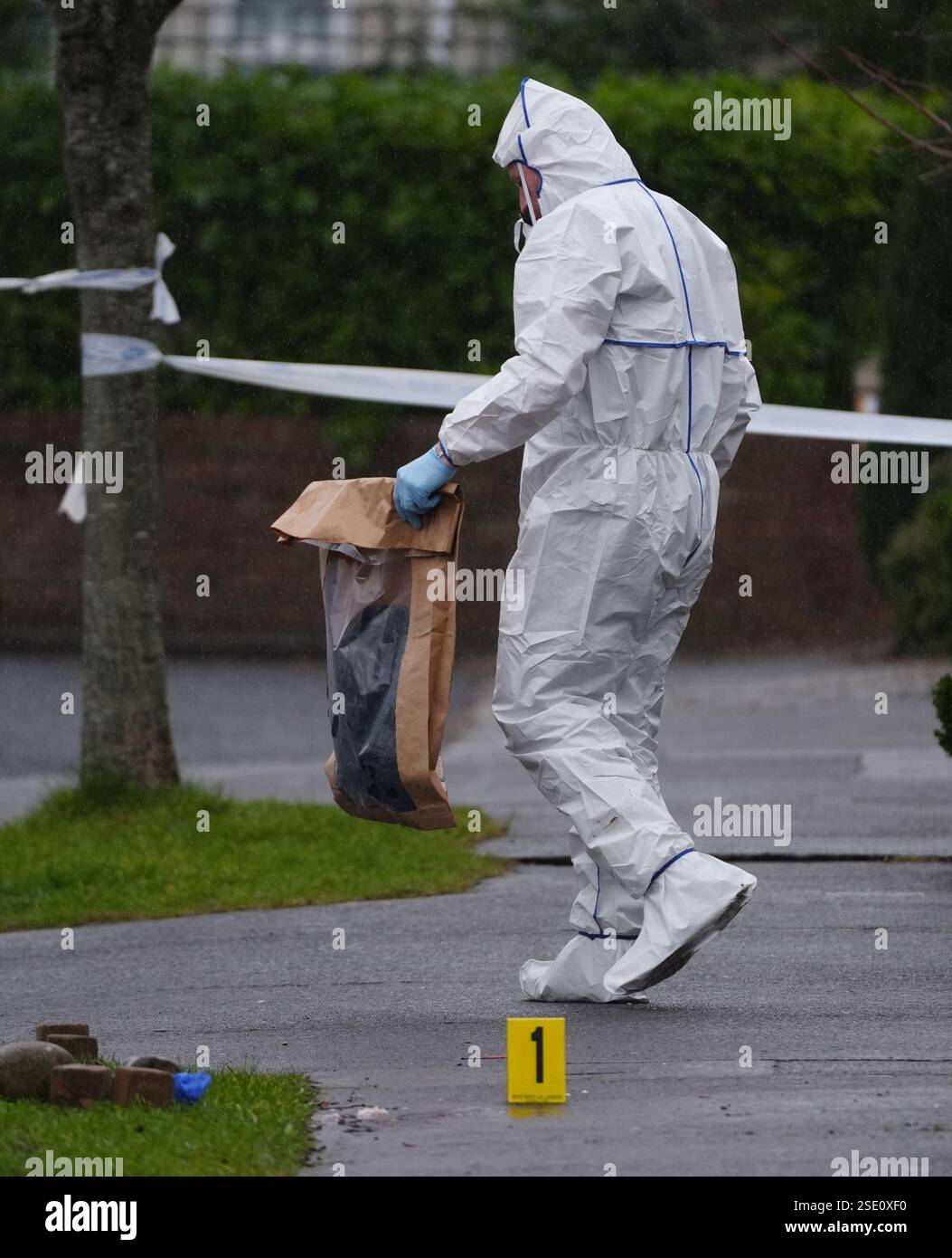 Garda forensics officers near to the scene in the Gainsborough Lawn ...