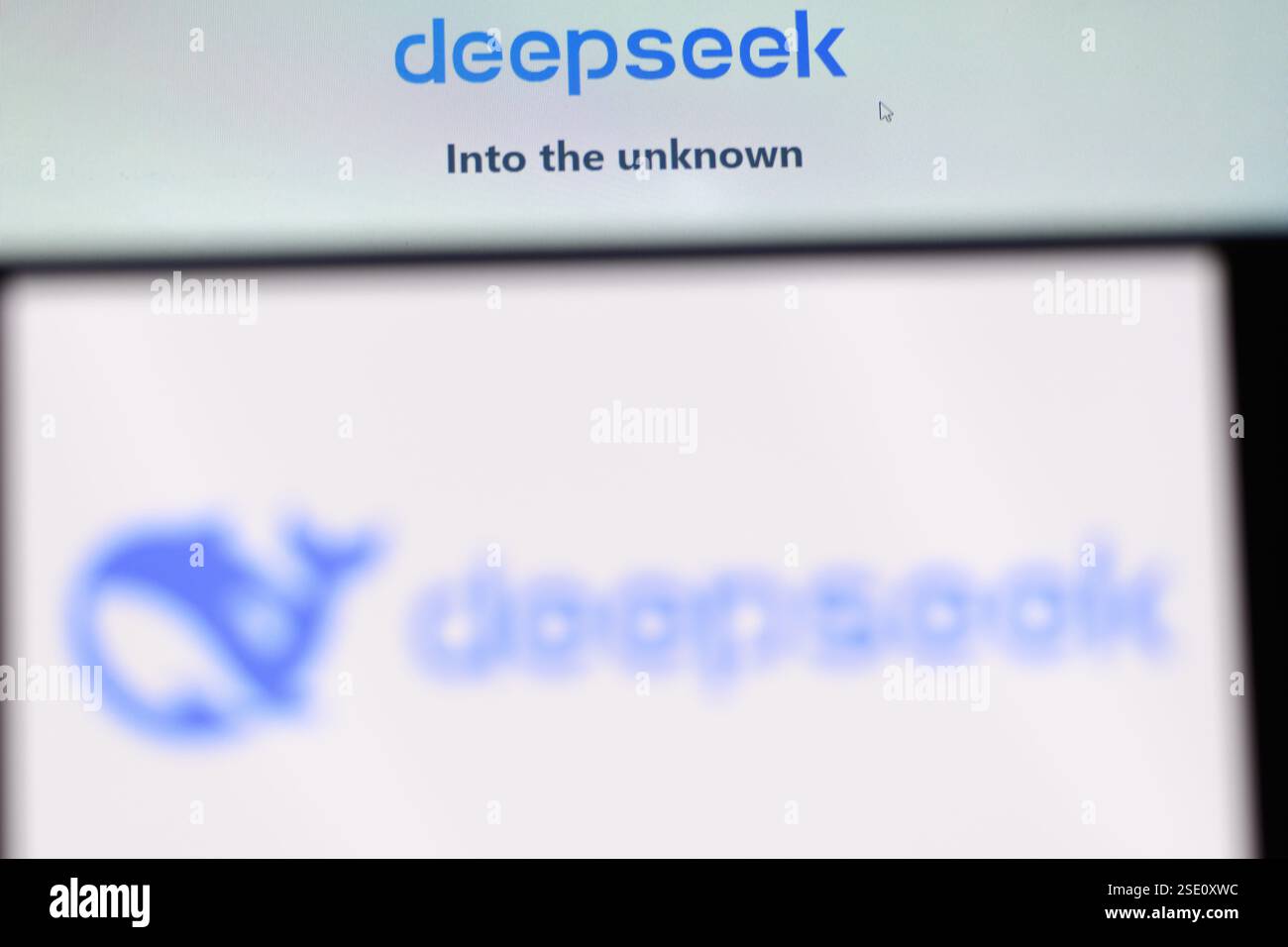 Lviv, Ukraine 6 feb 2025. In this photo illustration, a Deepseek logo ...