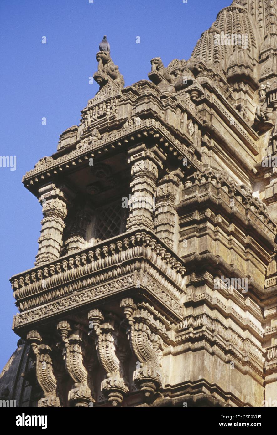 Palitana Jain temples complex balcony of temple at Gujarat, India, Asia ...