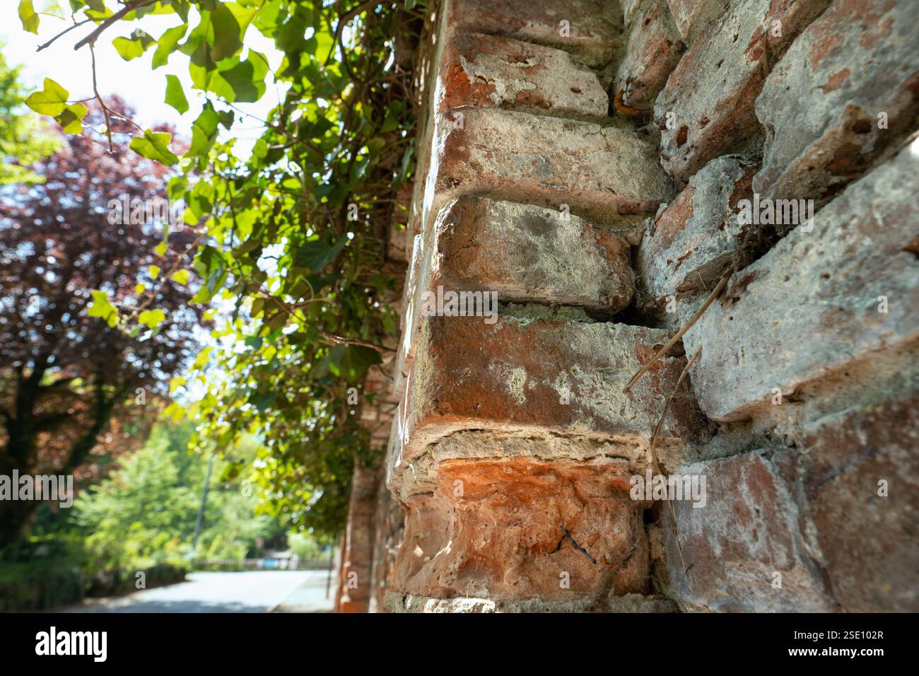 Red bricks with joints of a property wall in the countryside Stock ...