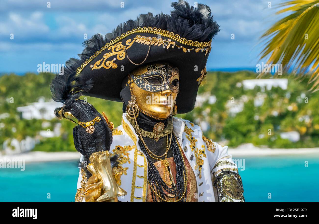 A pirate at the Mardi Gras carnival in front of the tropical beach ...