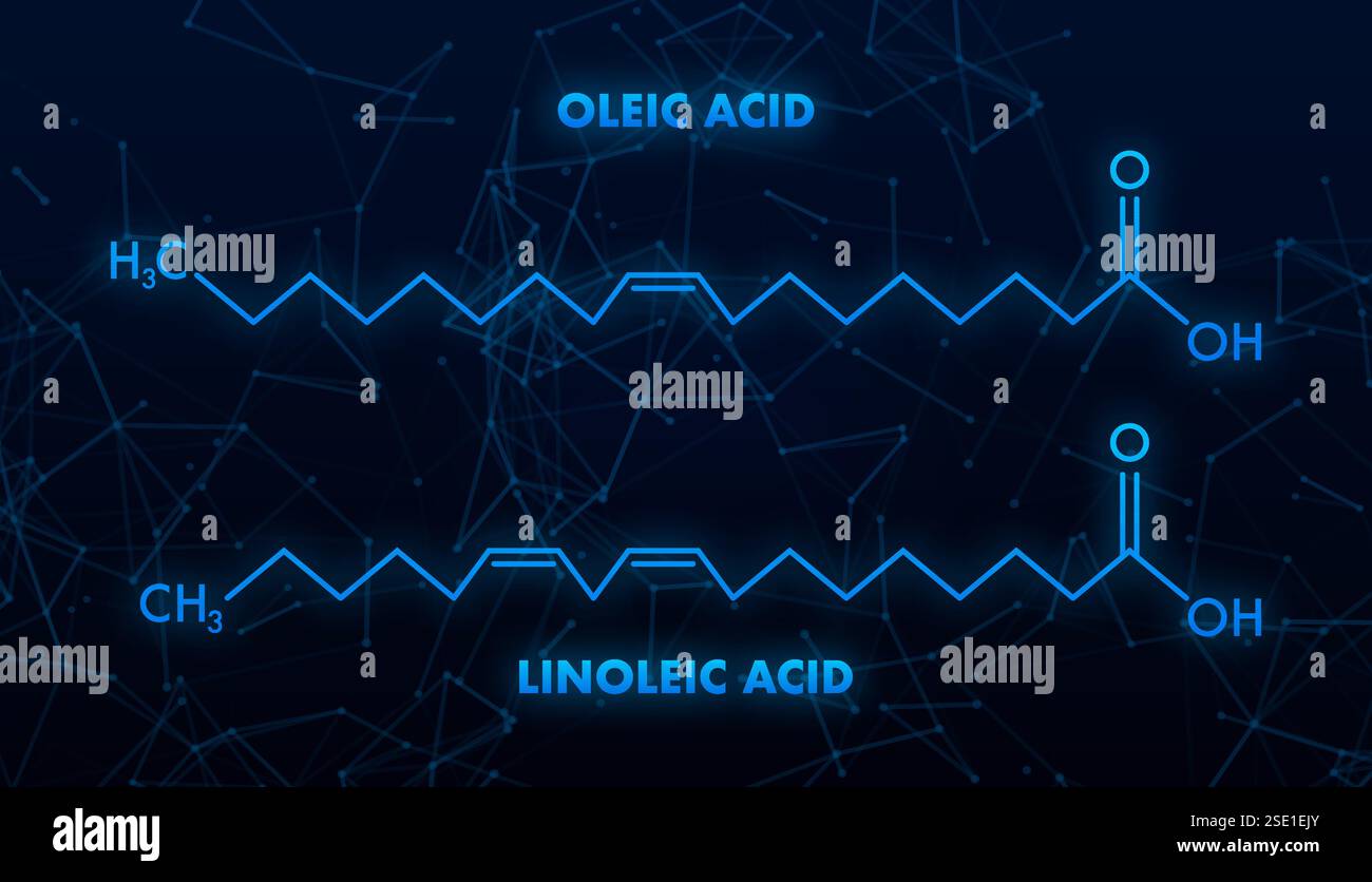 Oleic Acid and Linoleic Acid Structural Formulas Showing Chemical ...