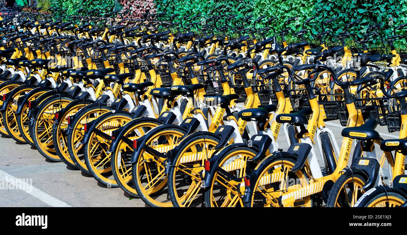 Yellow shared bicycles lined up outside a subway station in Chengdu ...