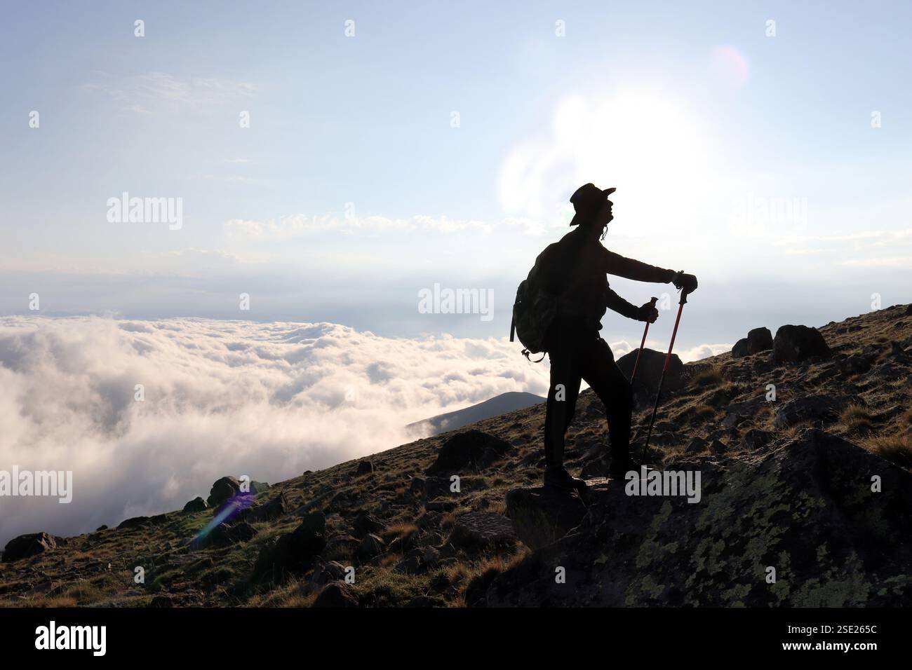 White man climbed on top hi-res stock photography and images - Alamy