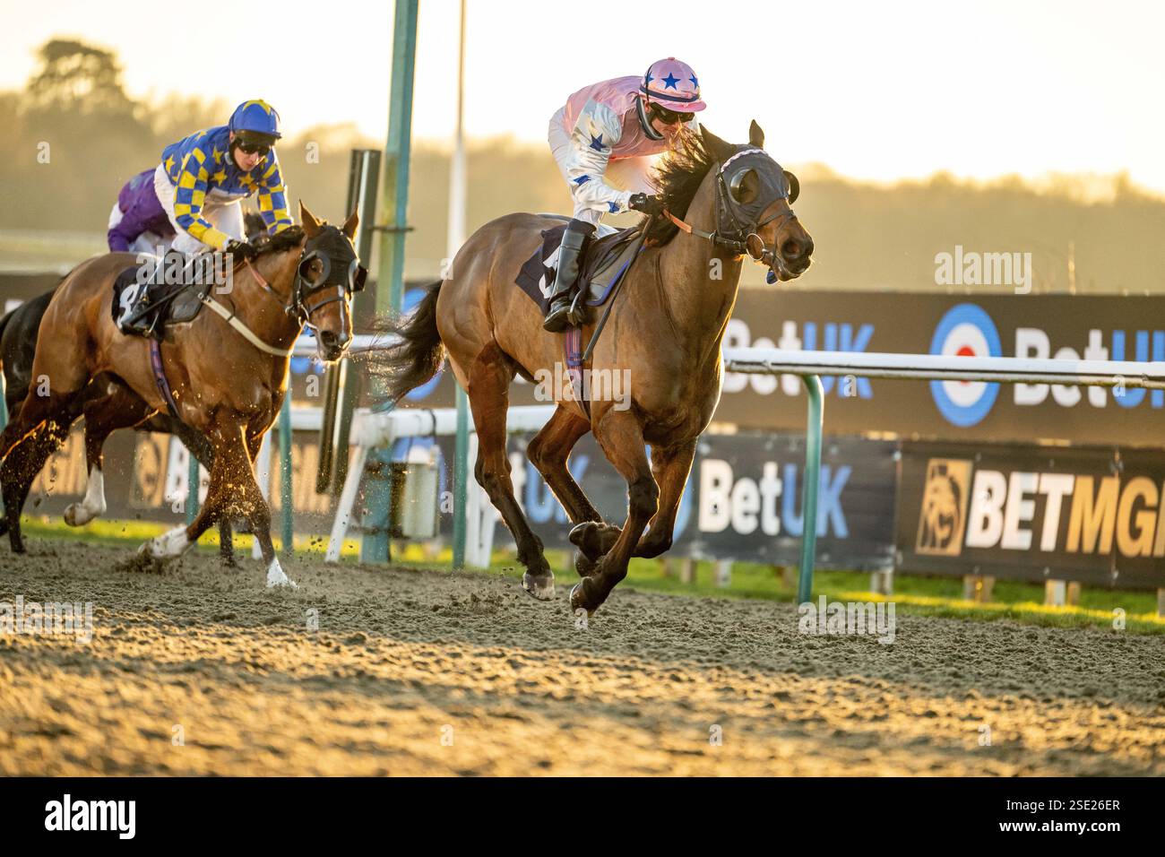 Horse racing lingfield park races hi-res stock photography and images ...