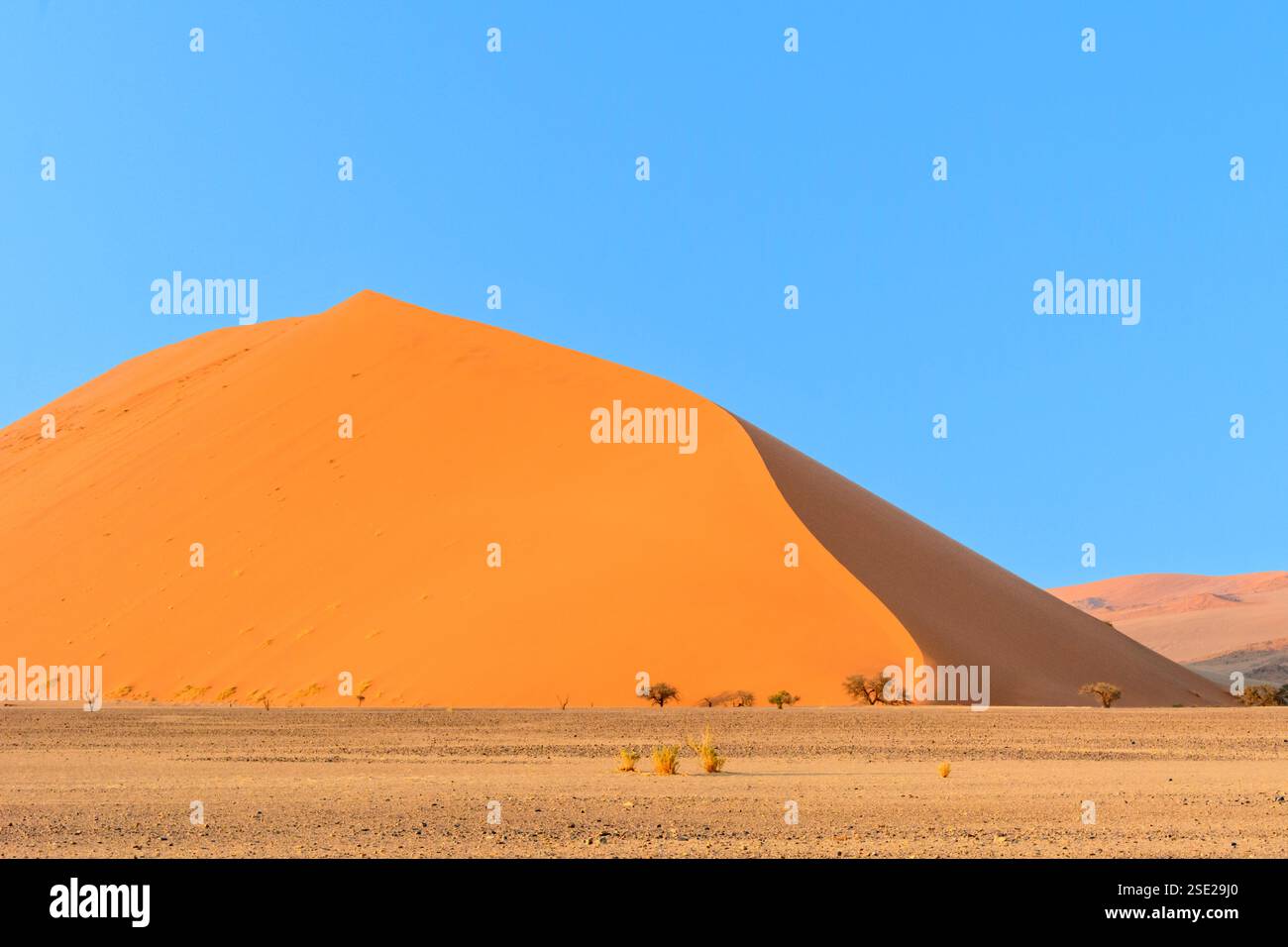 Dune 40, a giant sand dune, on the route between Sossusvlei and Dead ...