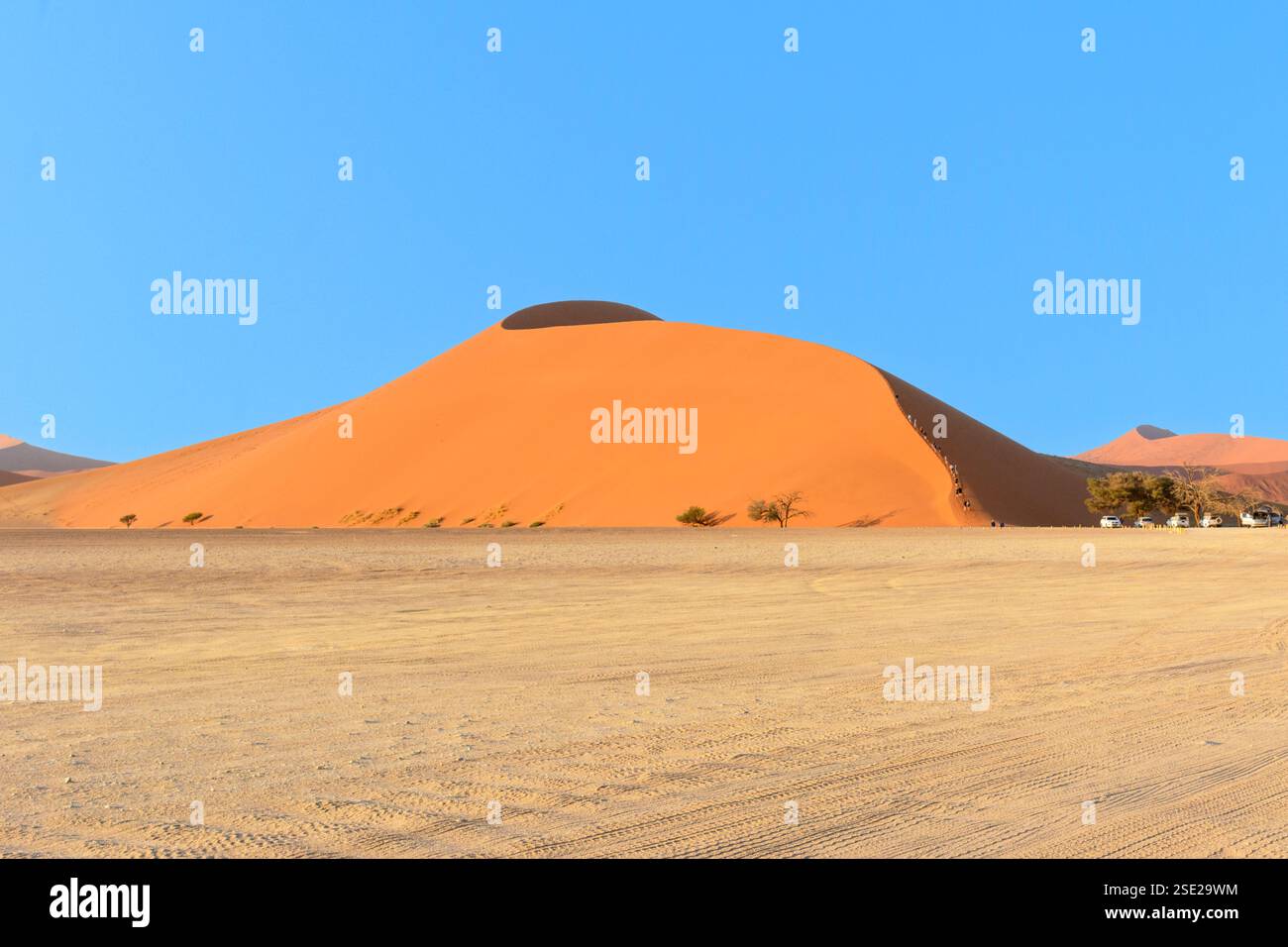 People climbing Dune 45, a giant sand dune, on the route between ...
