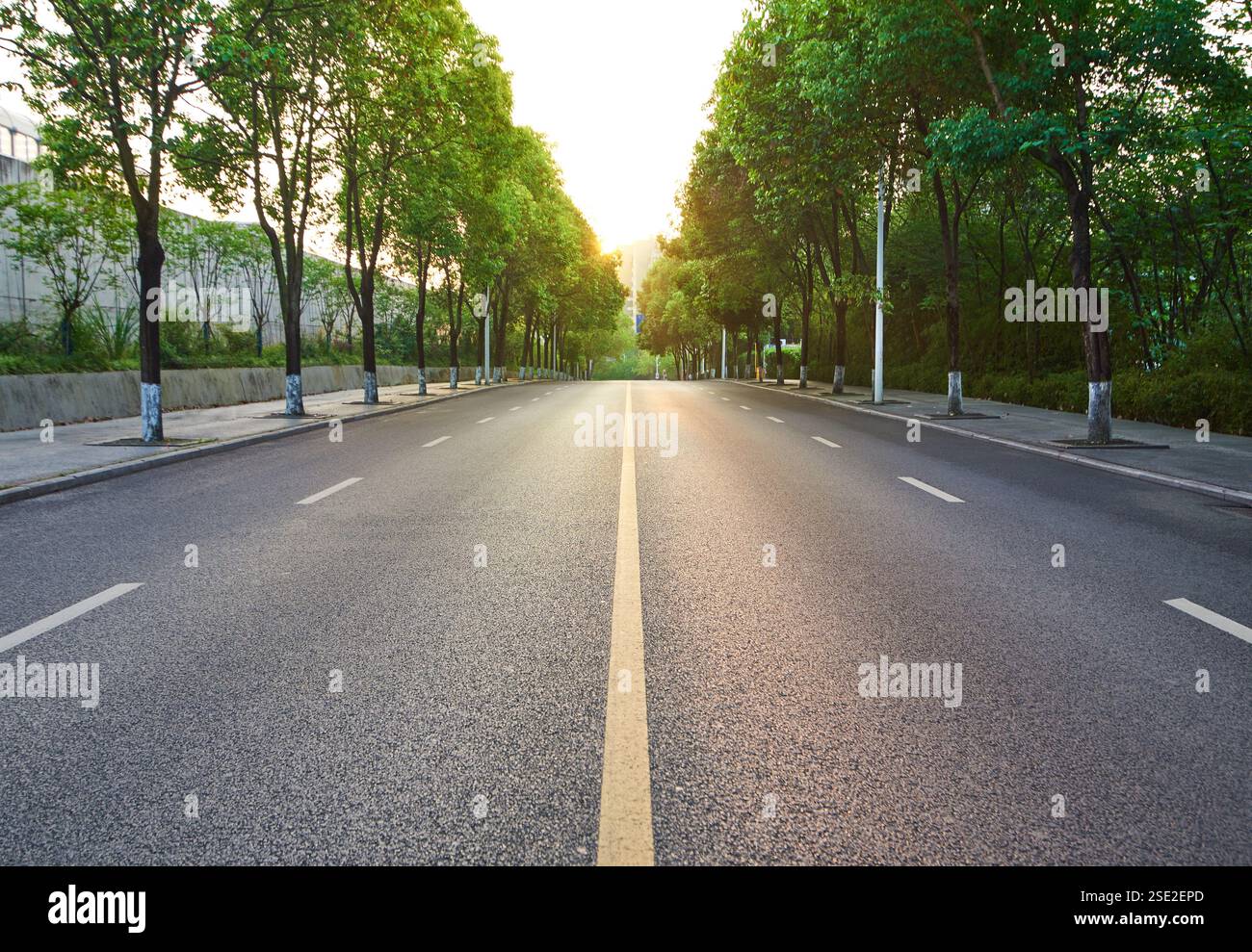 The straight road stretches into the distance Stock Photo - Alamy