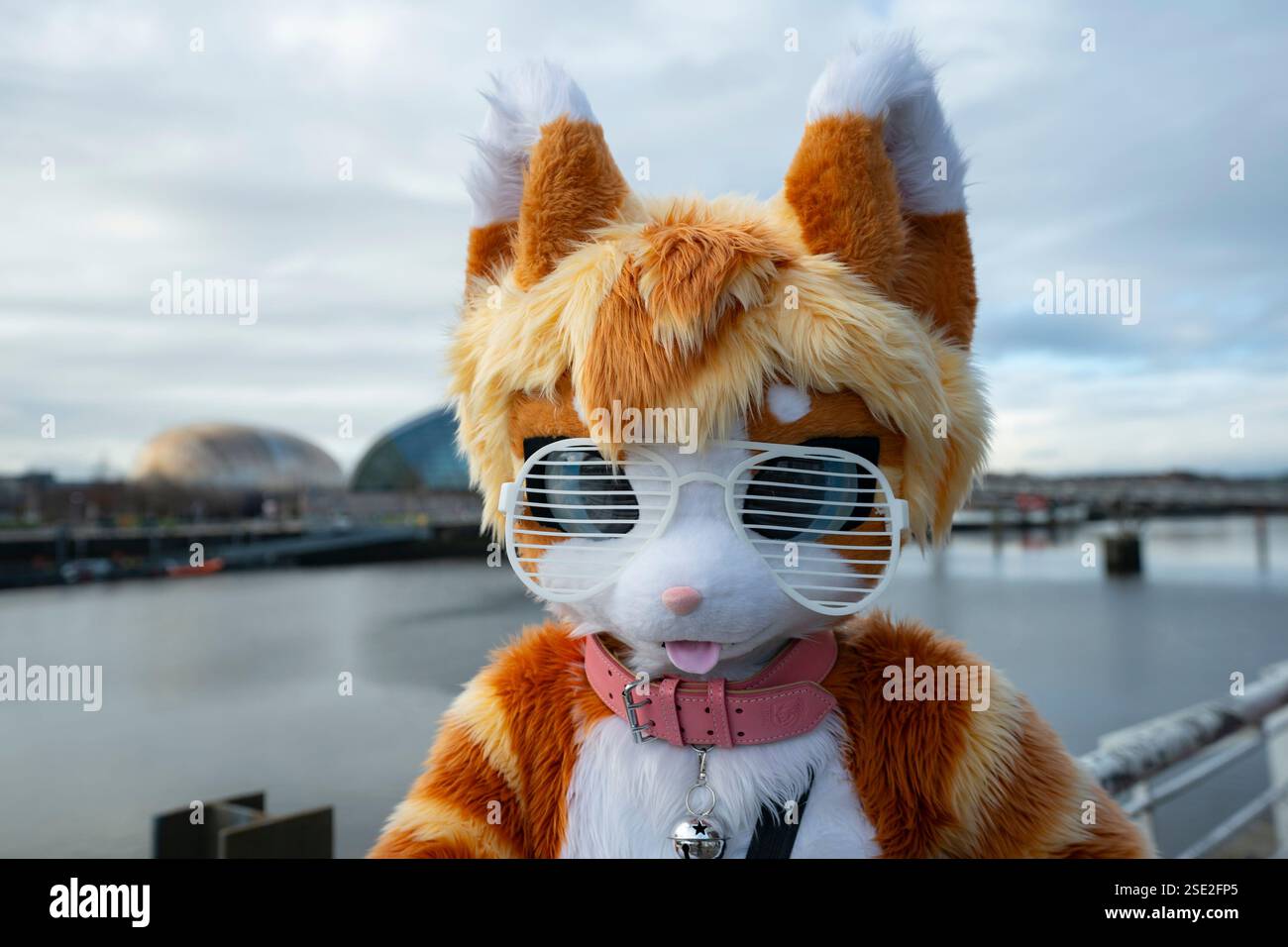 Glasgow, Scotland, UK. 8th February, 2025. Participants in furry suits ...