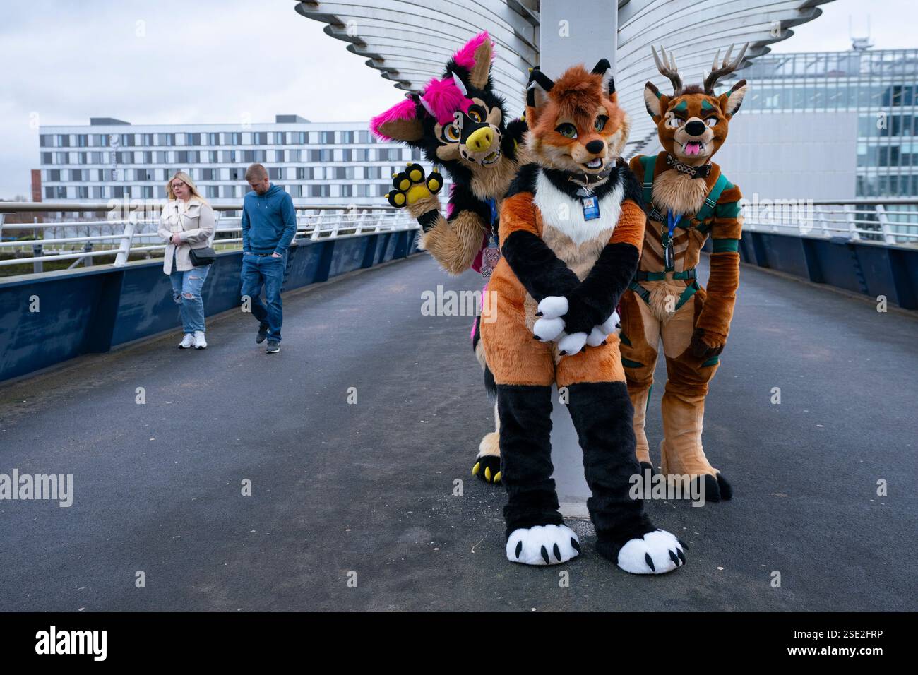 Dedicated fandom hi-res stock photography and images - Alamy