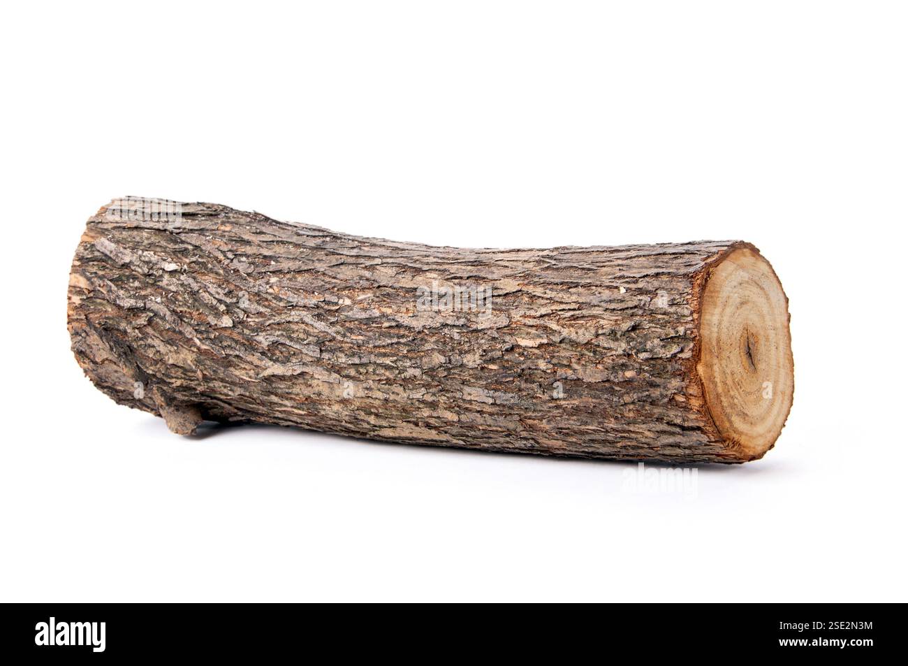 Single willow log isolated over white background Stock Photo - Alamy
