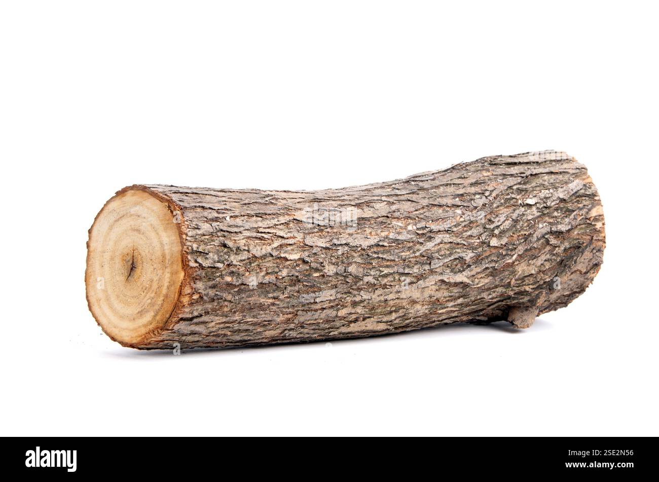 Single willow log isolated over white background Stock Photo - Alamy