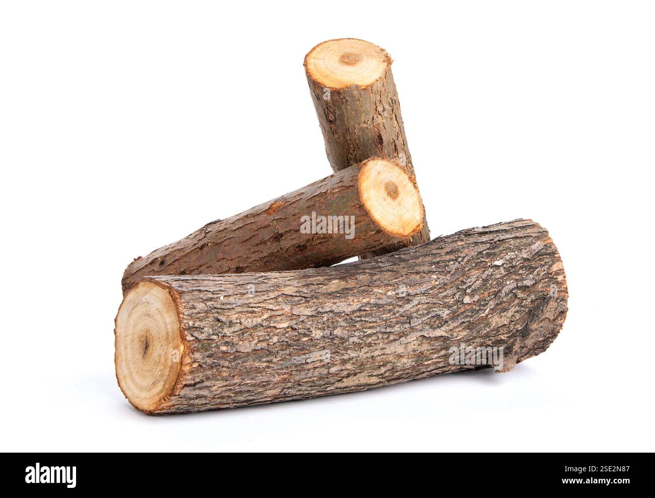 Three willow logs isolated over white background Stock Photo - Alamy
