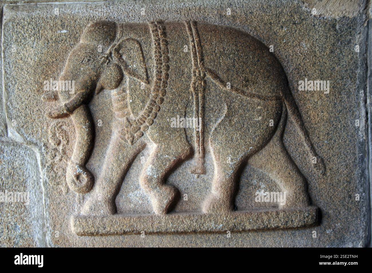 Carved sculpture elephant on pillar of Hajara Rama temple, Hampi ...