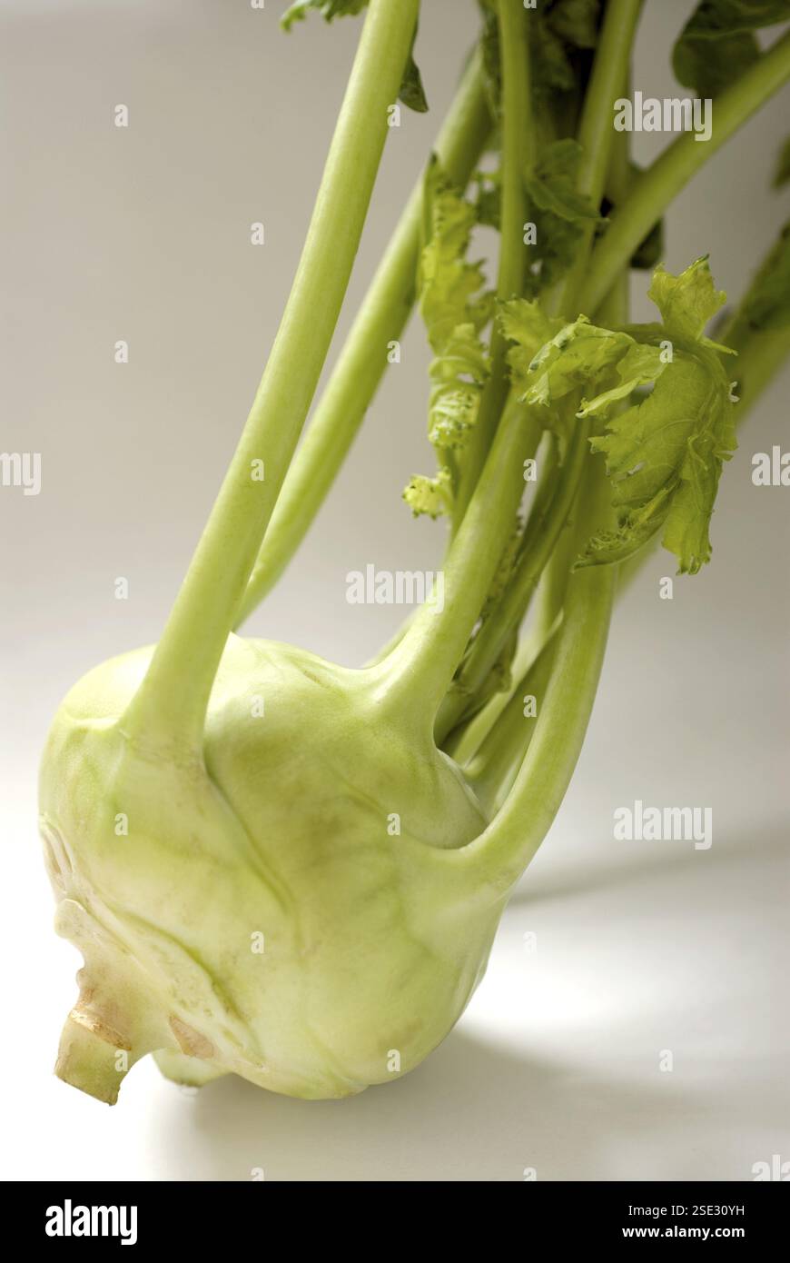 Knolkhol green fresh vegetable single white background Stock Photo - Alamy
