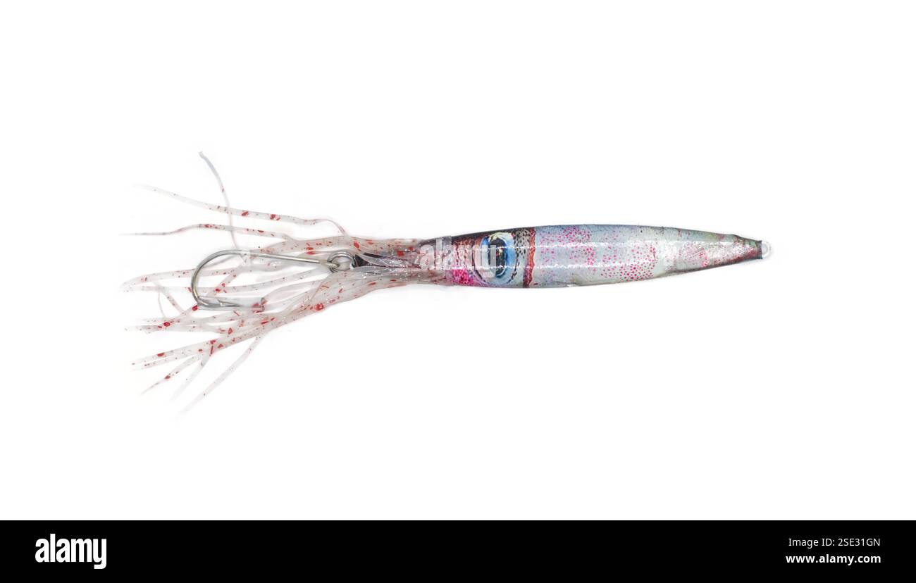 Lingcod, cod, snapper, grouper, tuna or rock fish living squid jig ...