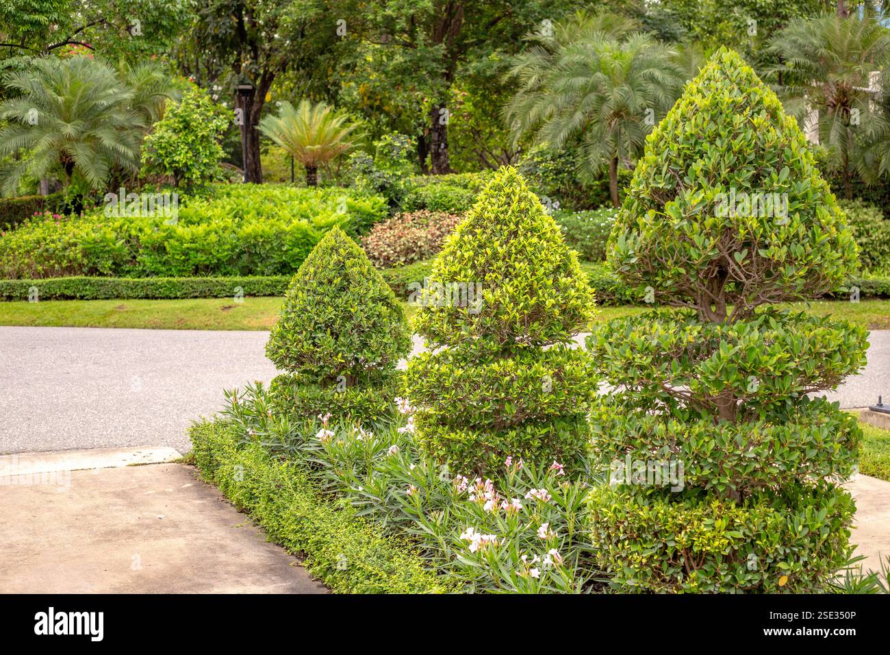 Landscape design of the city park. Paths and green trees, flowers and ...