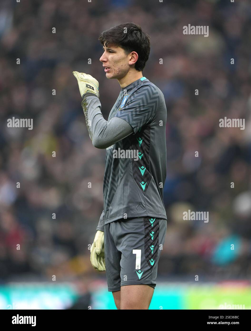 Sheffield Wednesday goalkeeper James Beadle during the Sky Bet ...