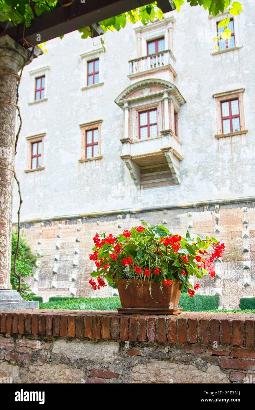 Flowers in the garden of Buonconsiglio Castle (Castello del ...