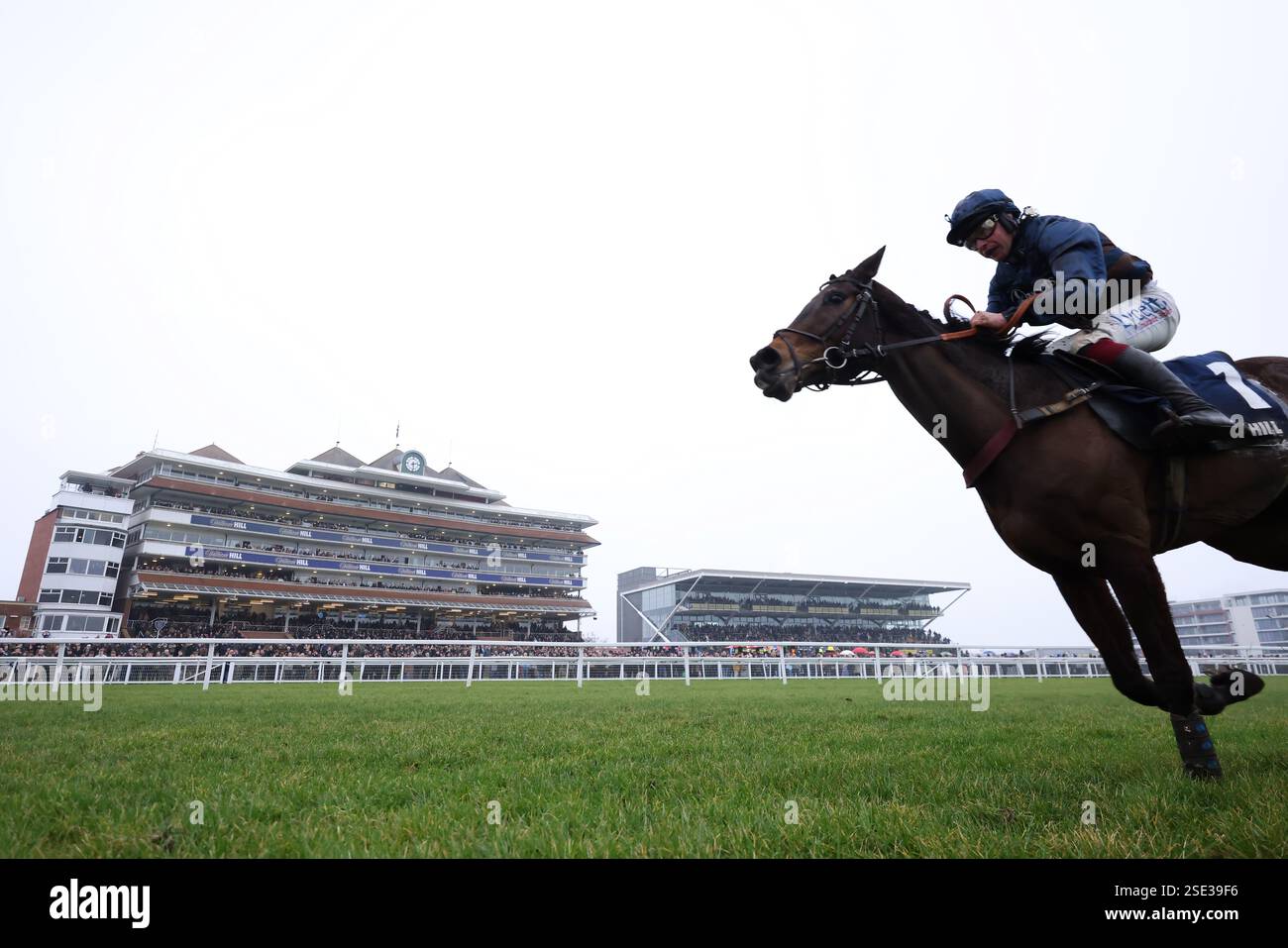 Djelo ridden by Charlie Deutsch on their way to winning the William ...