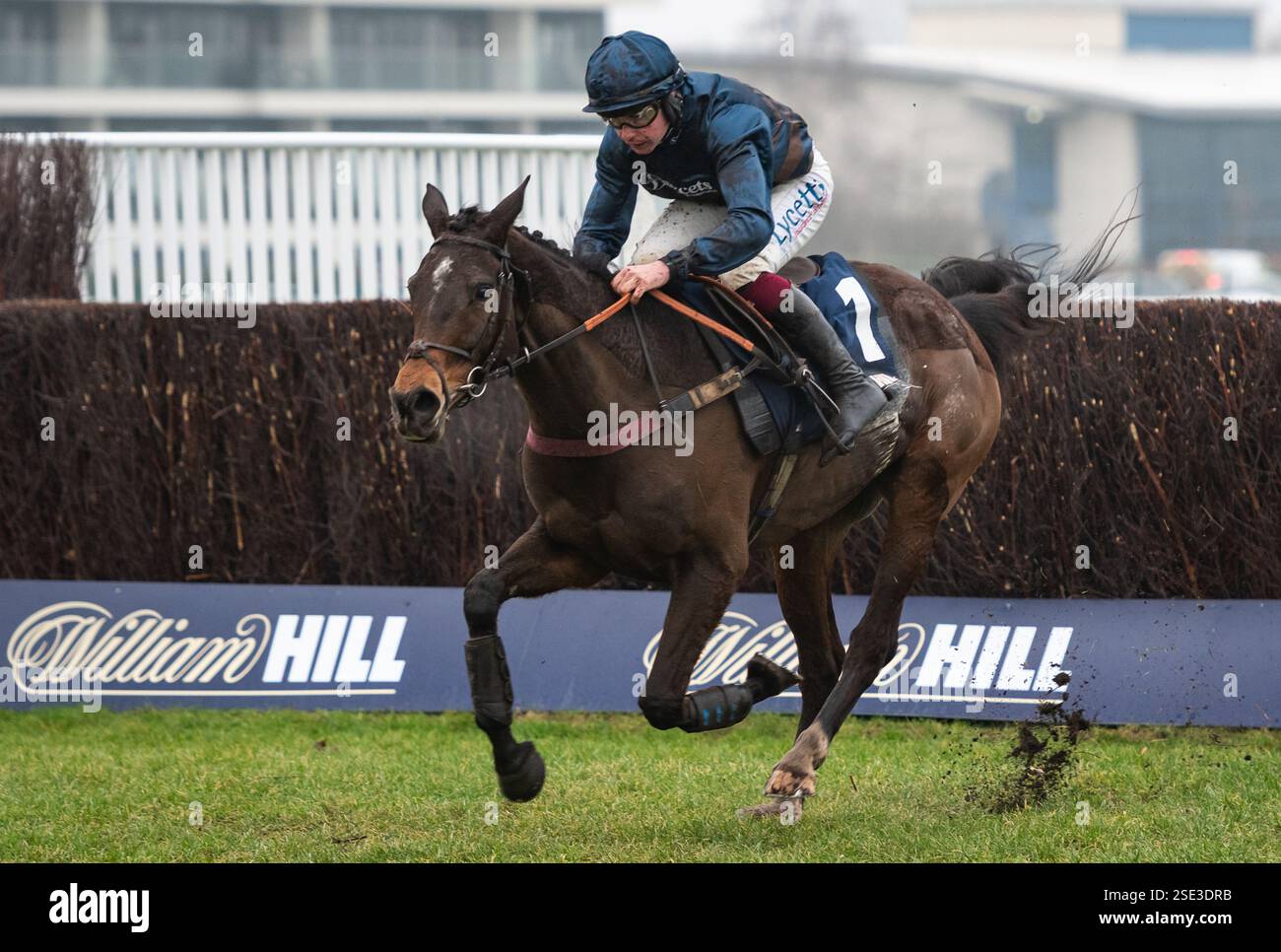 Grade 2 denman chase hi-res stock photography and images - Alamy