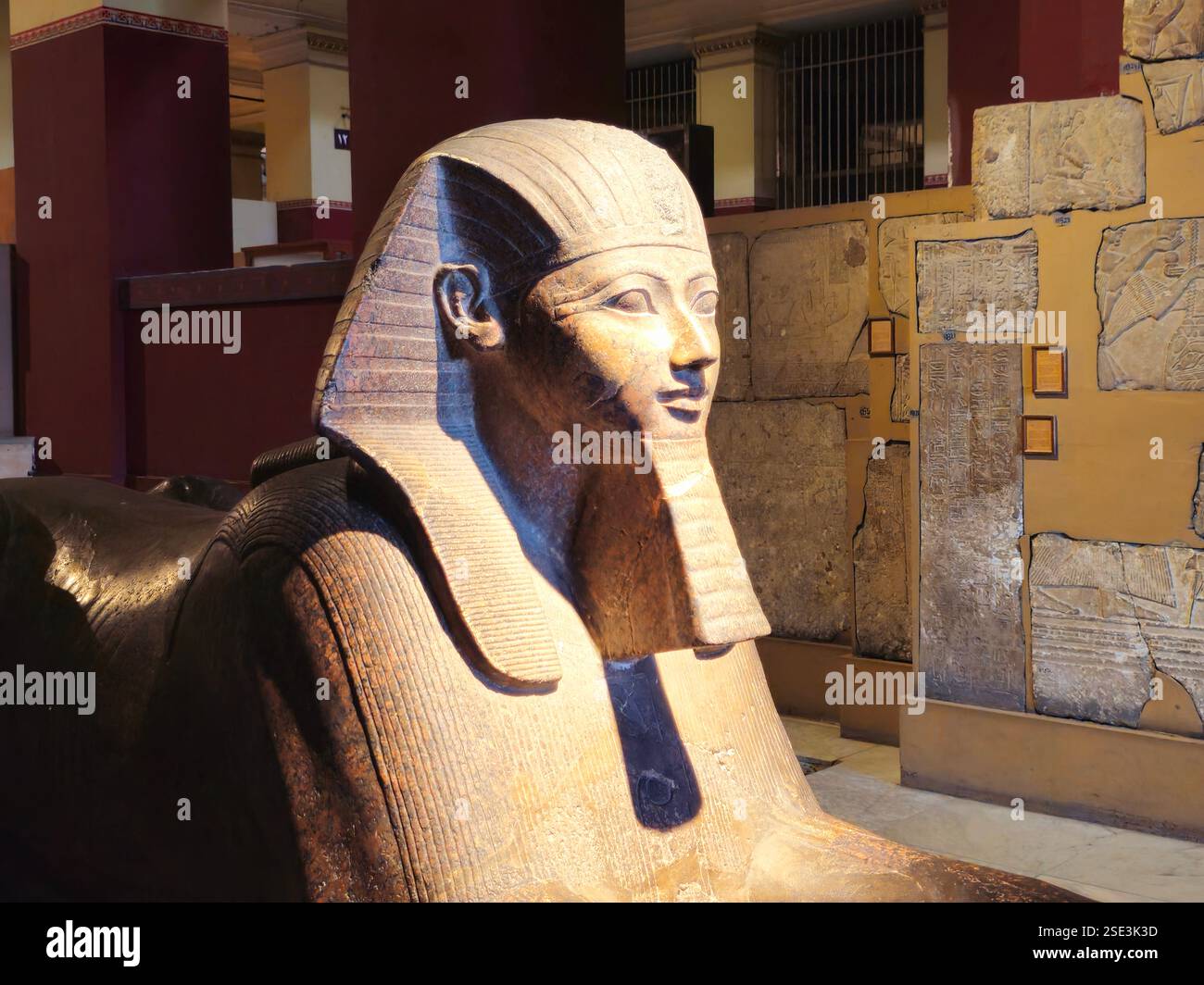 Cairo, Egypt, February 1 2025: The Sphinx statue inside the Egyptian or ...
