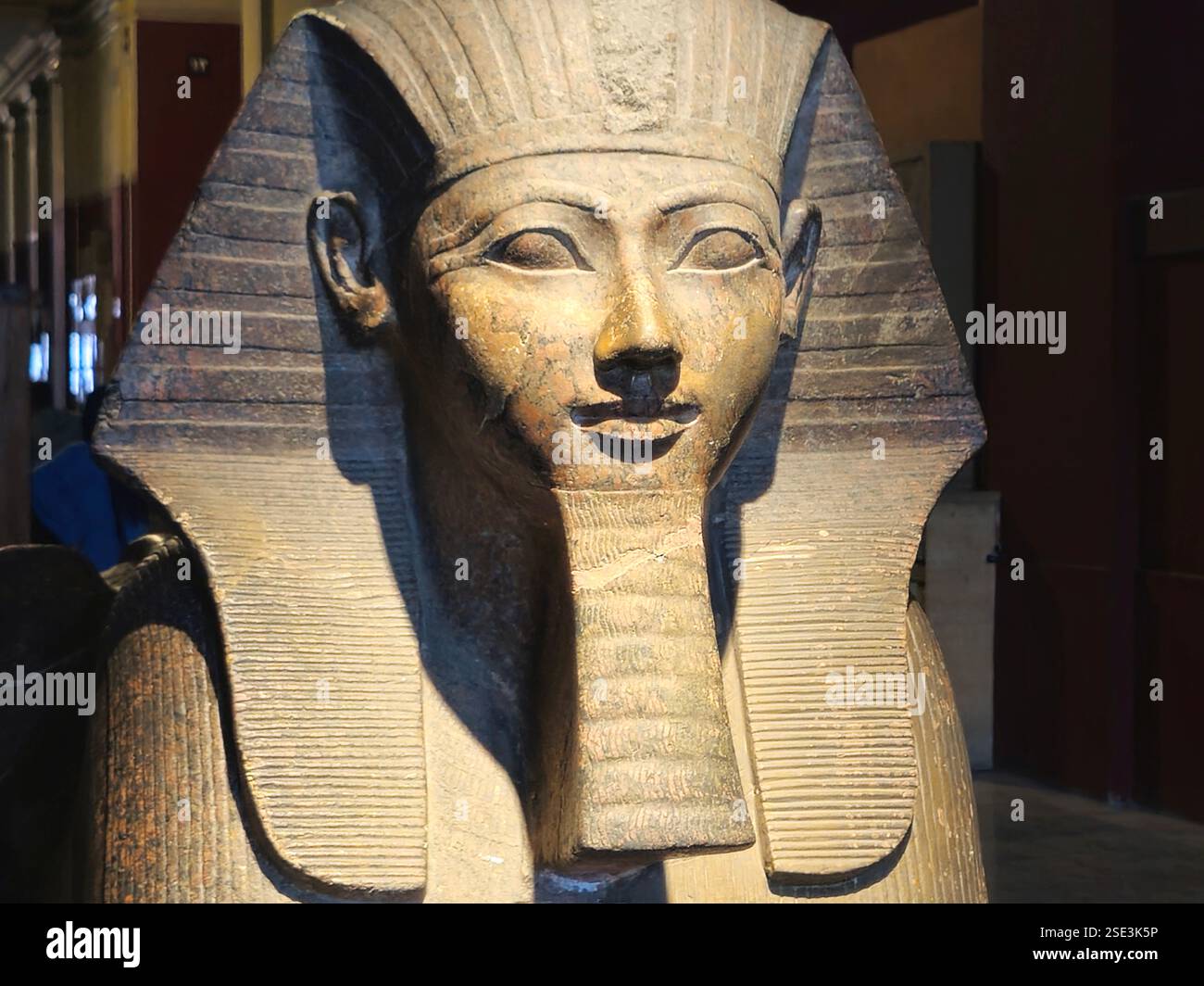 Cairo, Egypt, February 1 2025: The Sphinx statue inside the Egyptian or ...