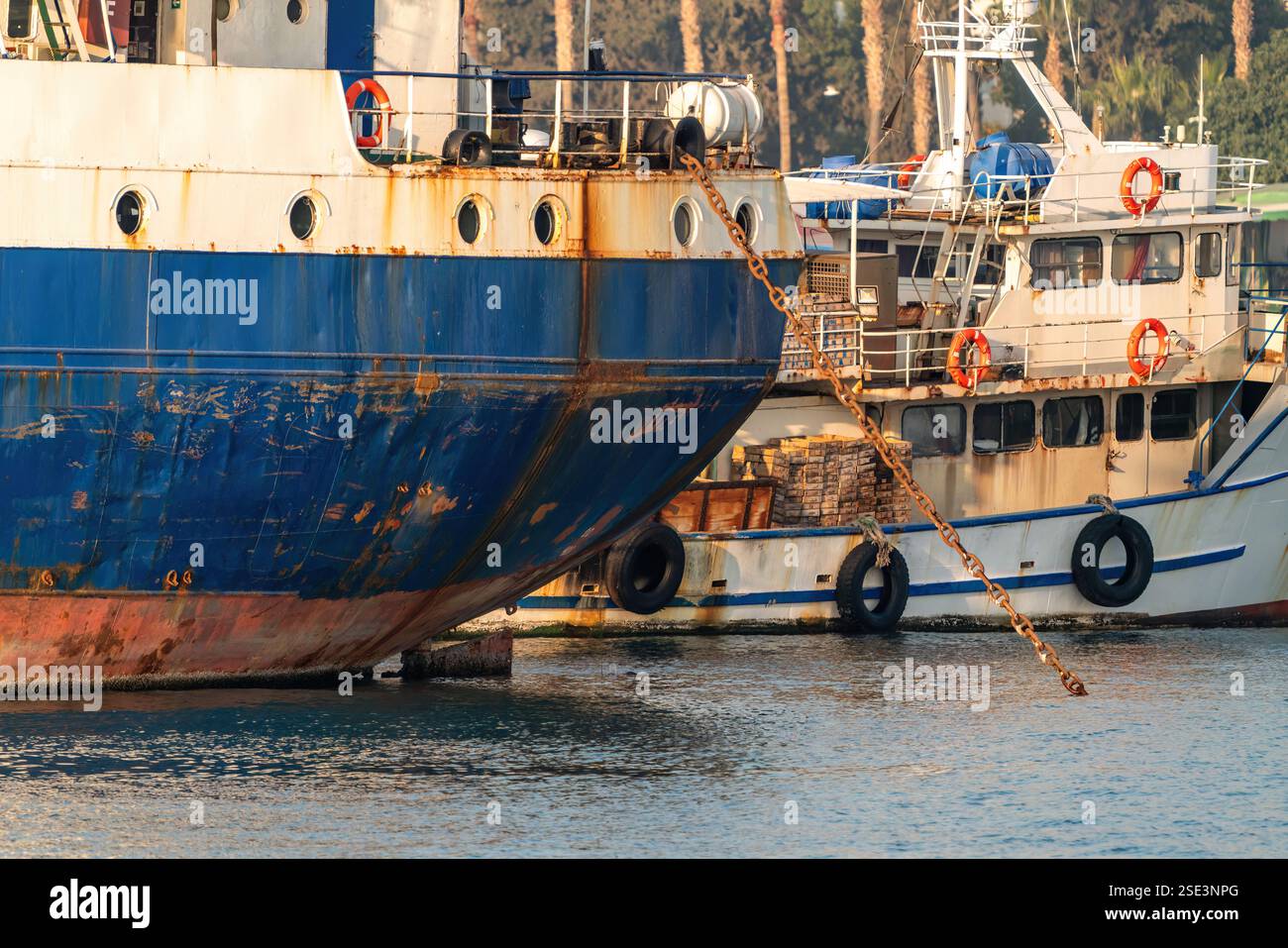 The rusted metal hull of a ship, small micro-organisms adhering to the ...