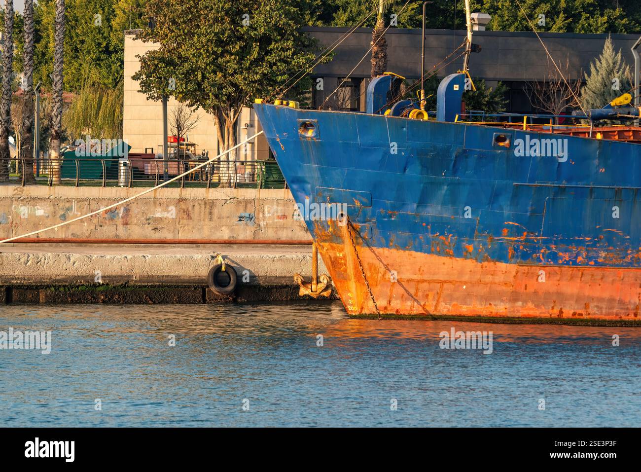The rusted metal hull of a ship, small micro-organisms adhering to the ...