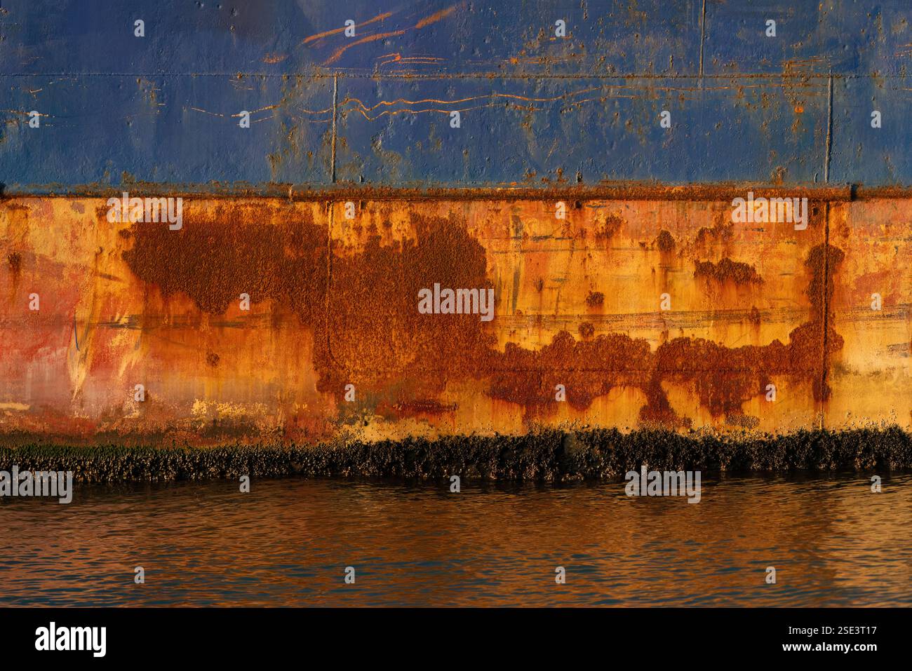 The rusted metal hull of a ship, small micro-organisms adhering to the ...