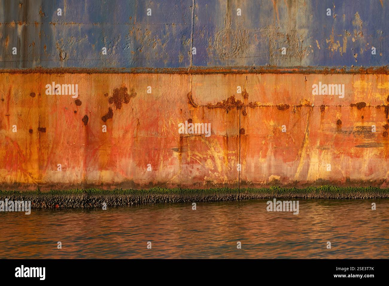 The rusted metal hull of a ship, small micro-organisms adhering to the ...