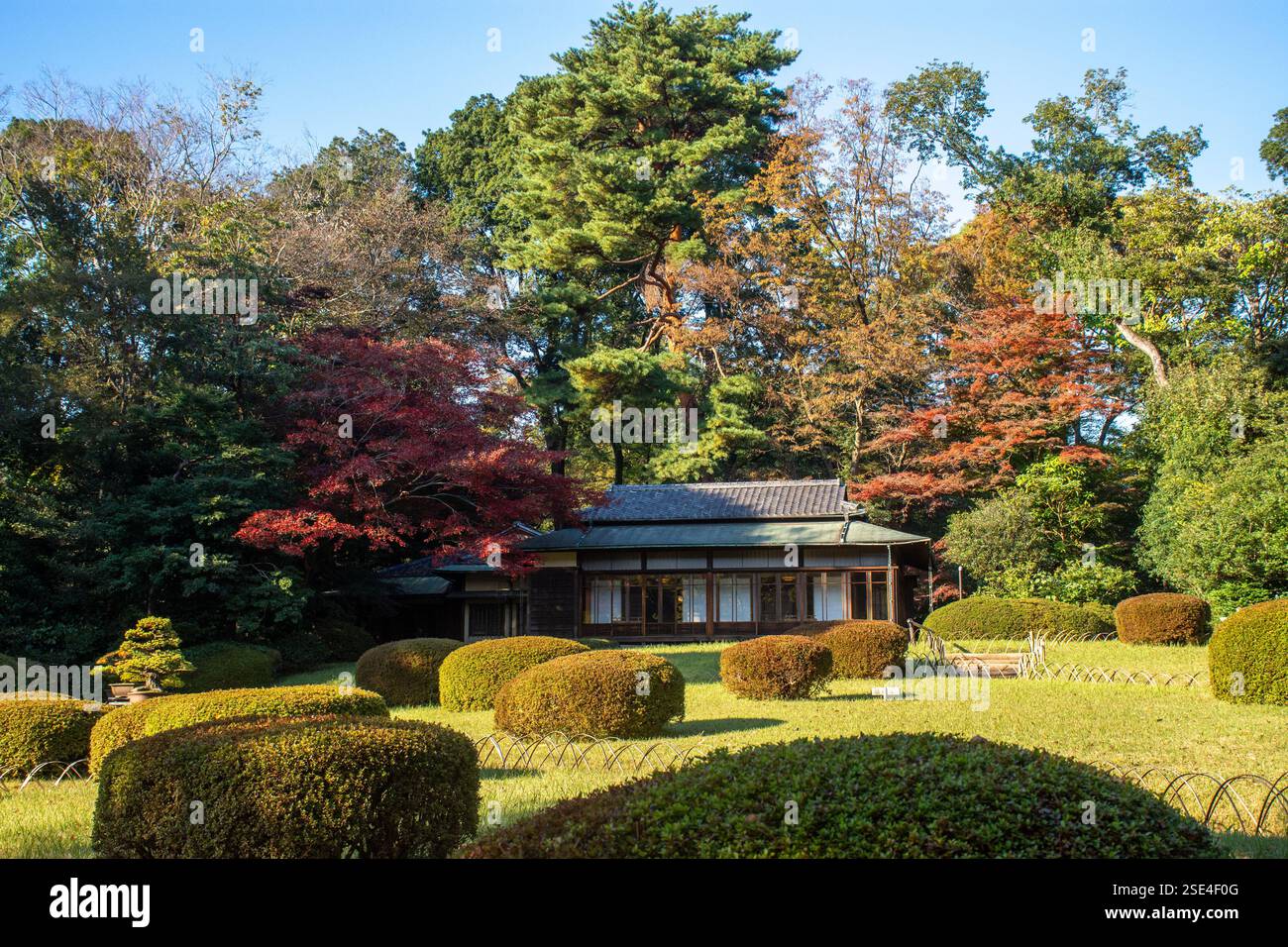 Meiji Jingu Shrine, Tokyo, Japan Stock Photo - Alamy