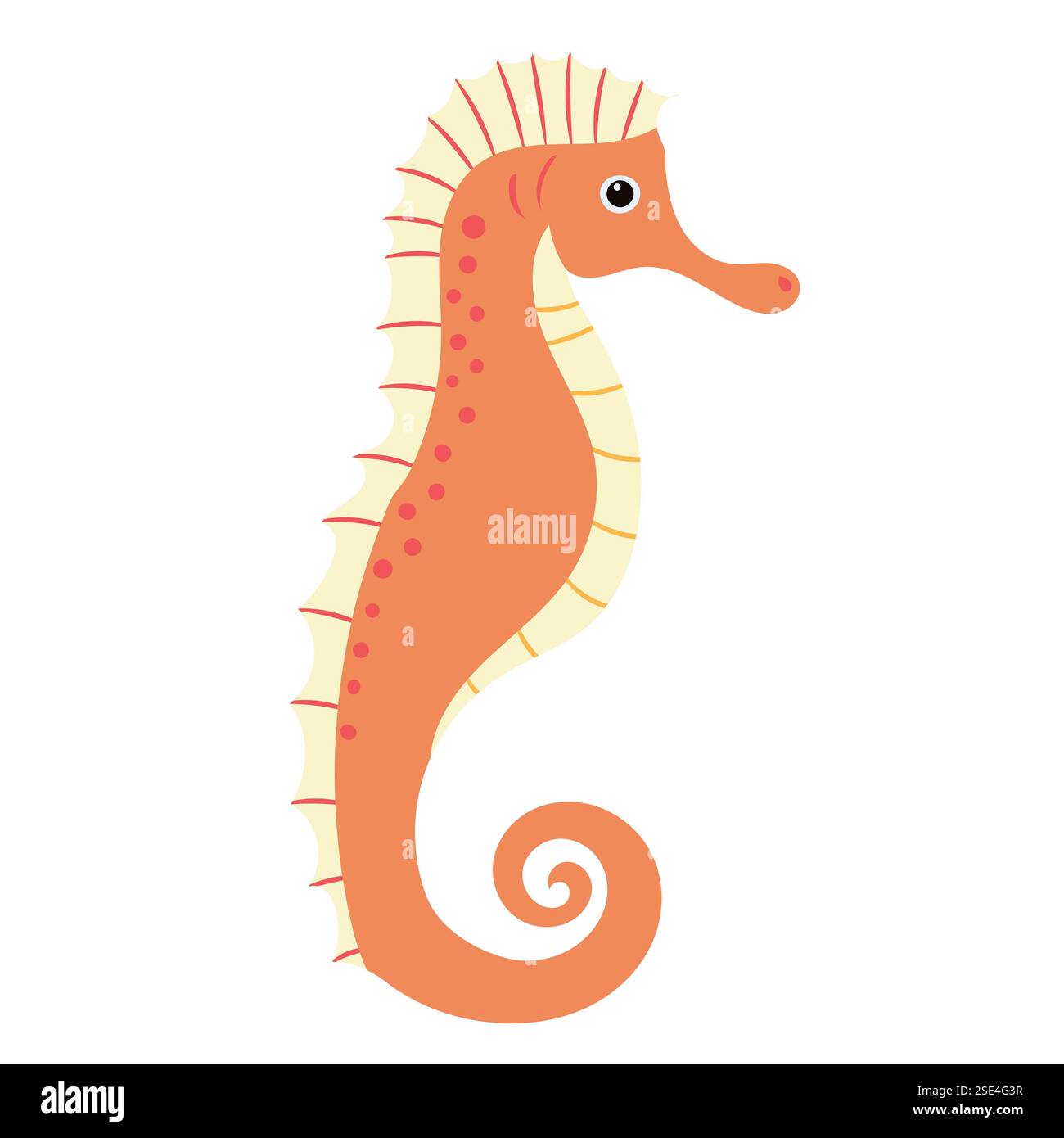 seahorse on white background, vector Stock Vector Image & Art - Alamy