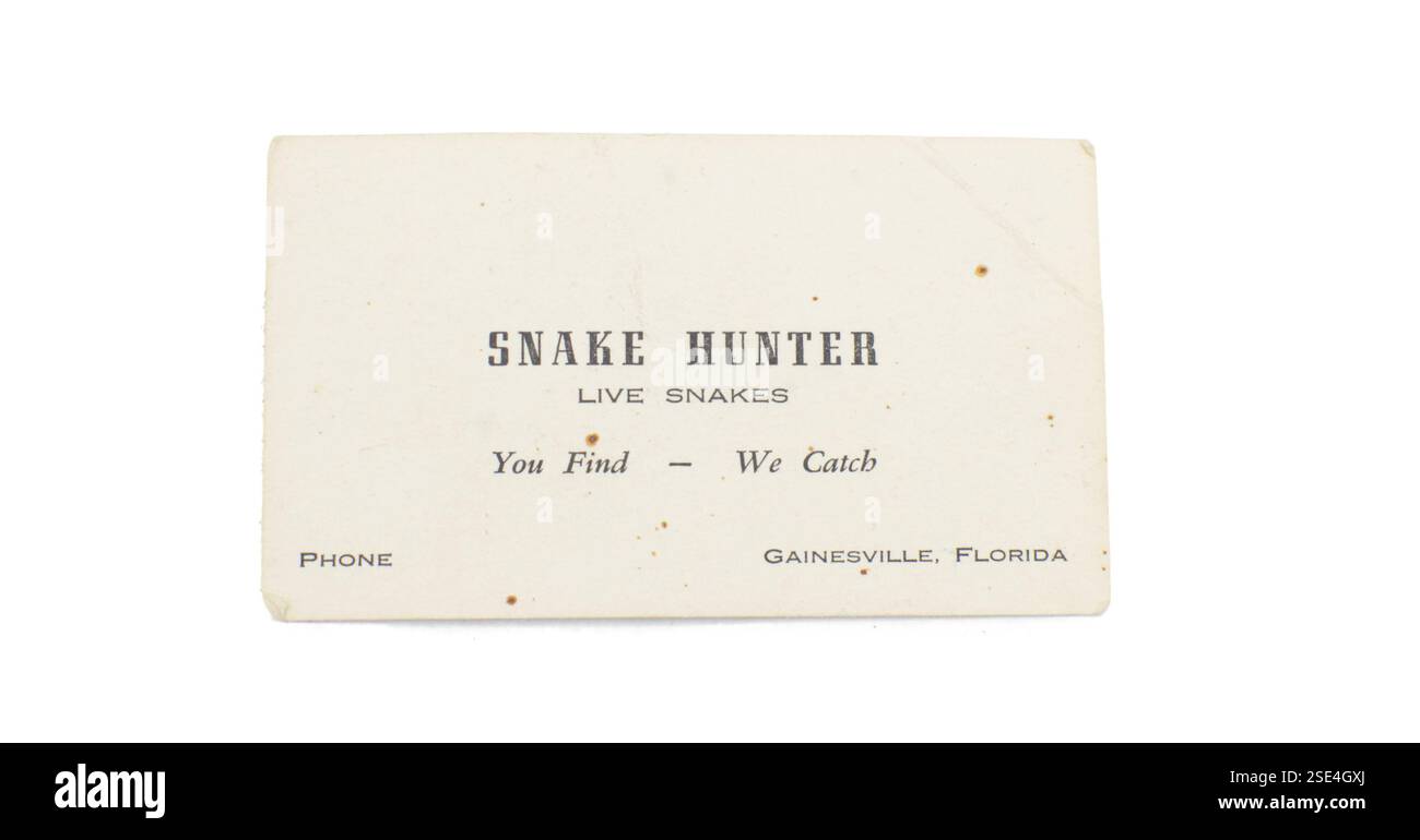 Live snakes Cut Out Stock Images & Pictures - Alamy