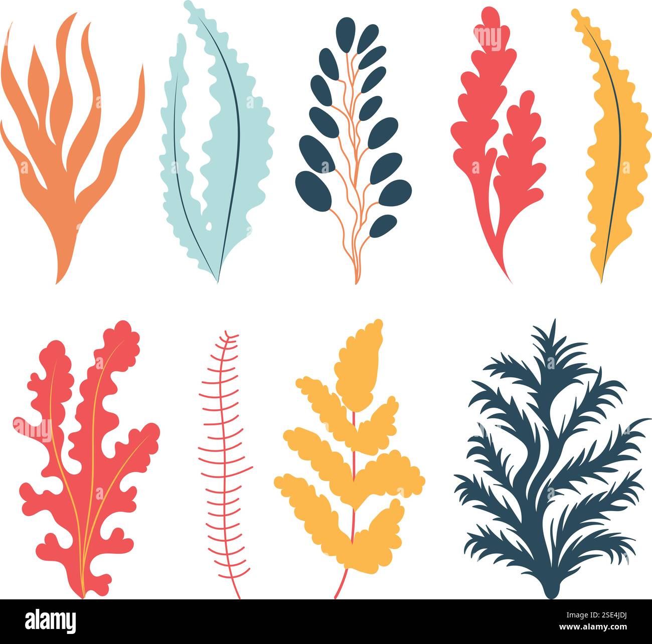 algae set, collection in doodle style isolated vector Stock Vector ...