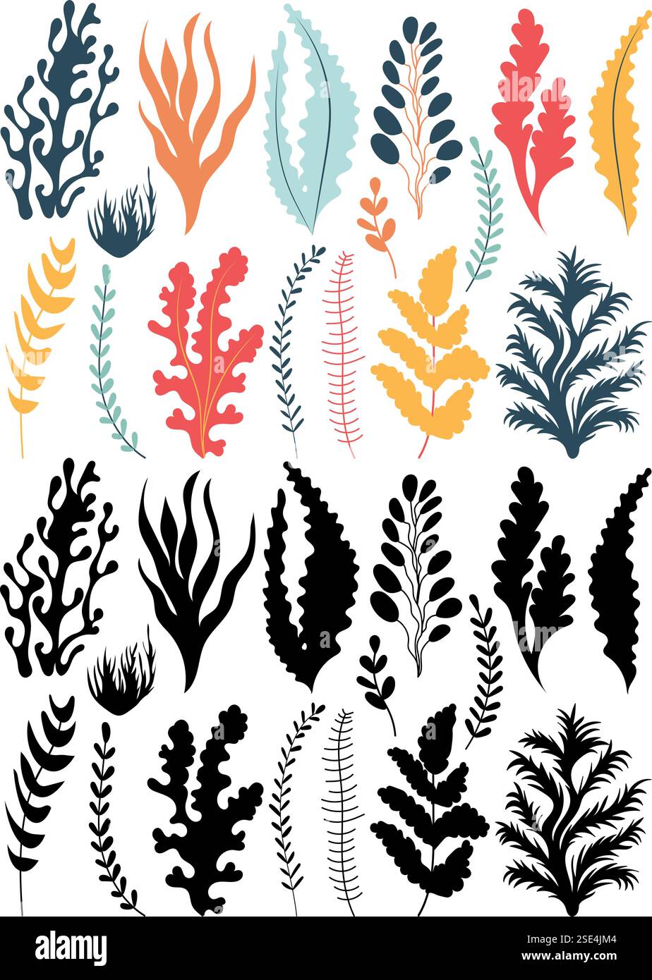 seaweed set on white background, vector Stock Vector Image & Art - Alamy