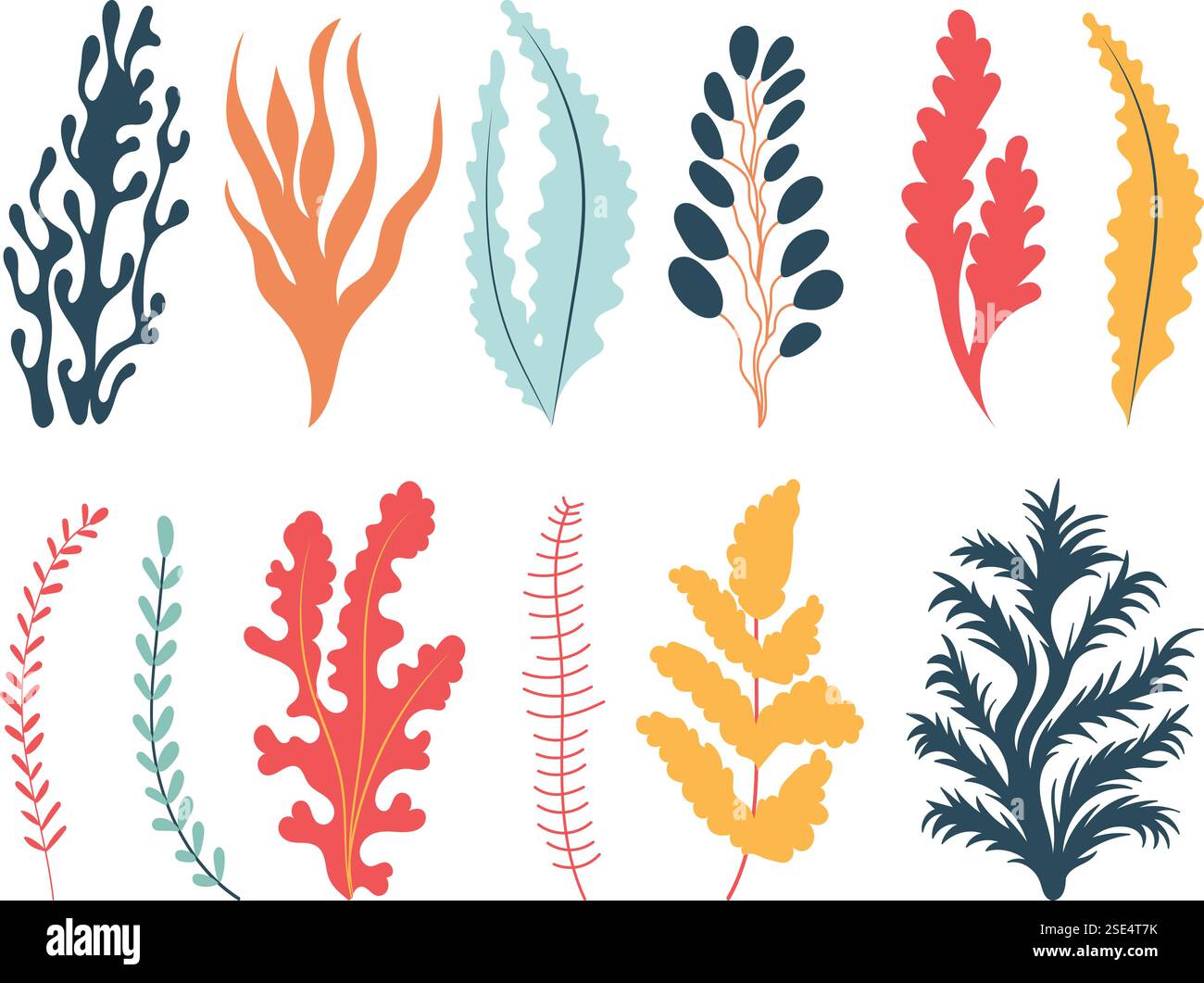 seaweed set in flat style isolated vector Stock Vector Image & Art - Alamy