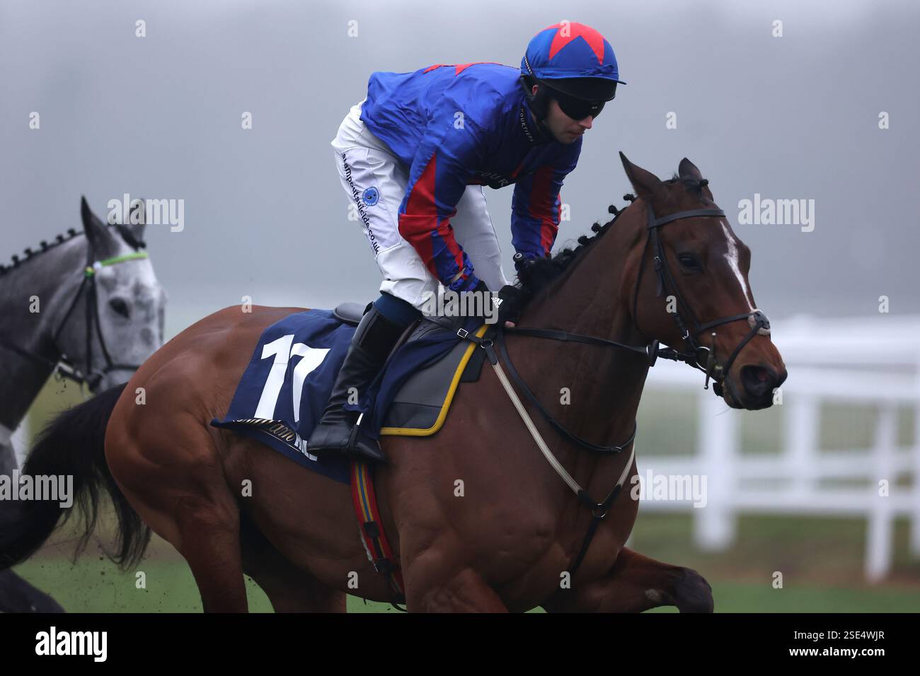 Josh The Boss ridden by Jamie Neild in the William Hill Hurdle at ...