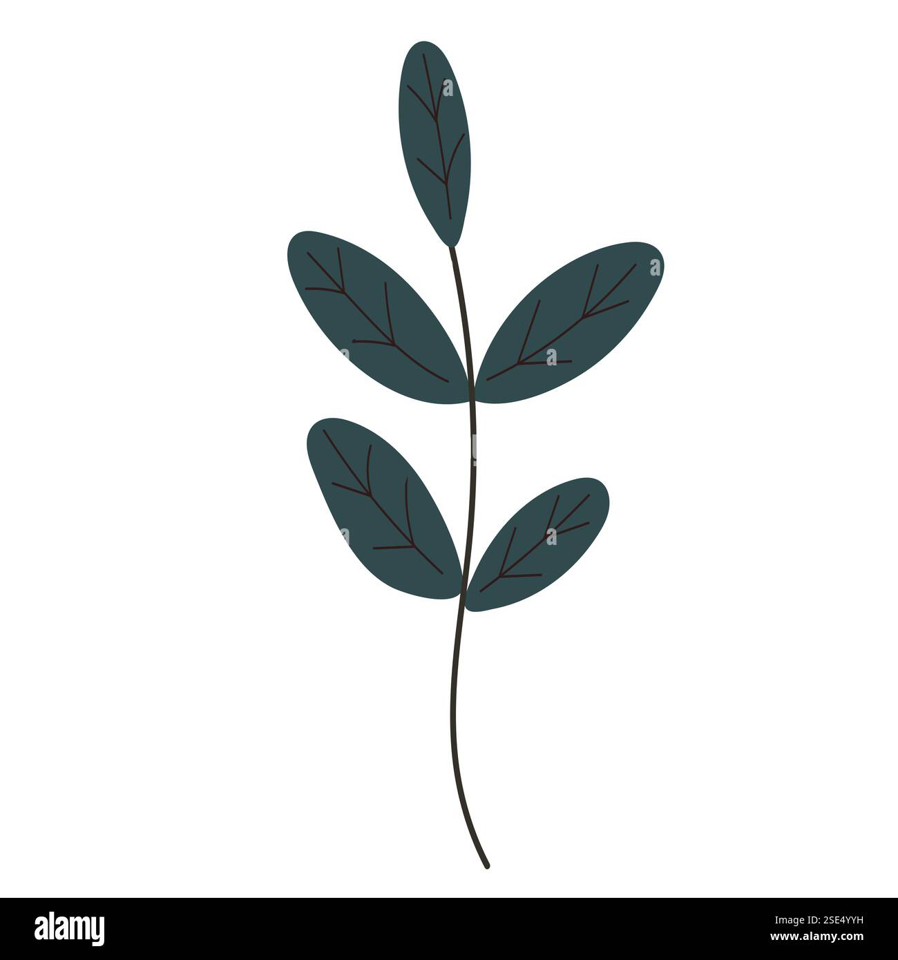 plant with leaves on white background, vector Stock Vector Image & Art ...