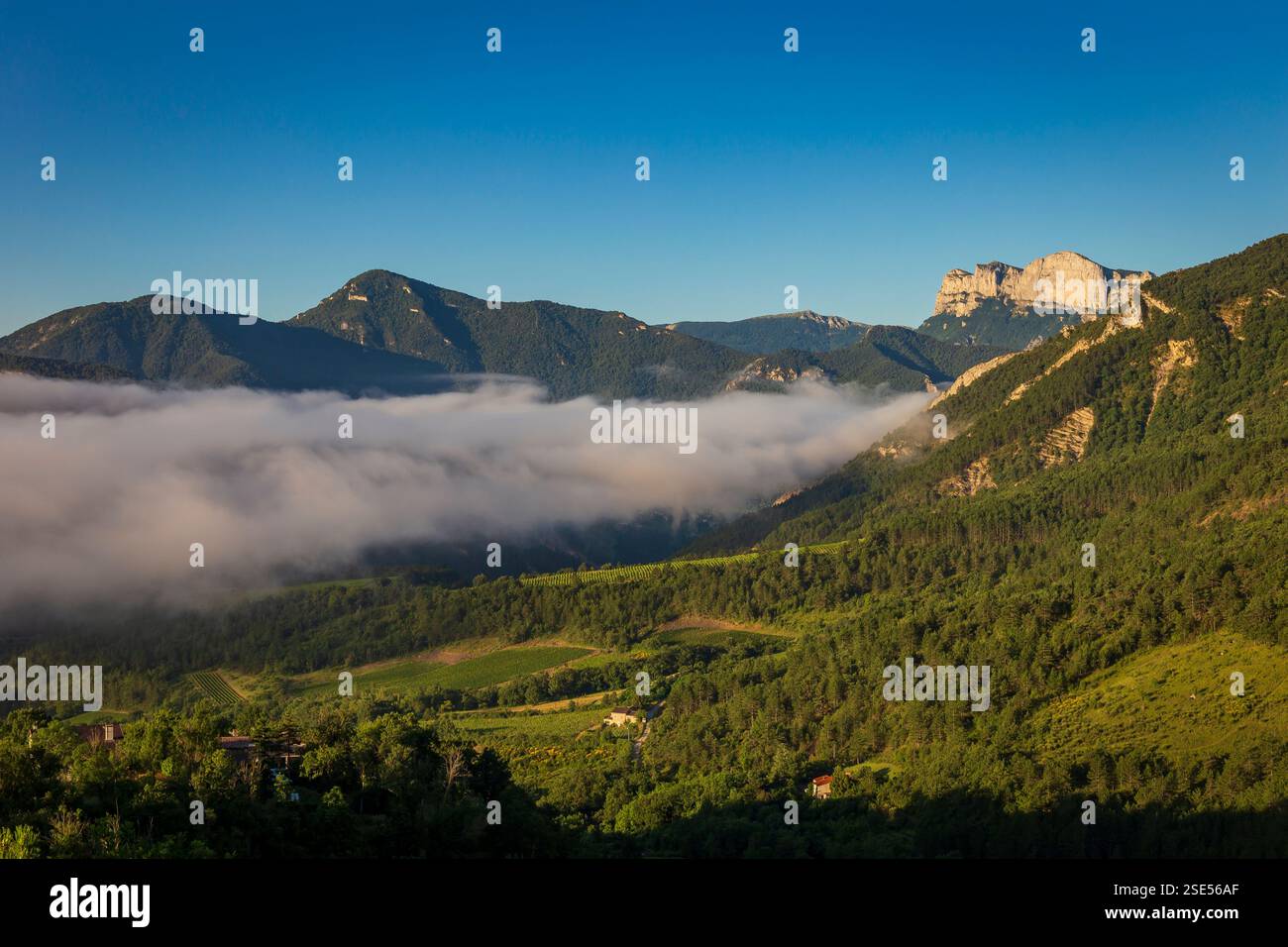 Becs hi-res stock photography and images - Alamy