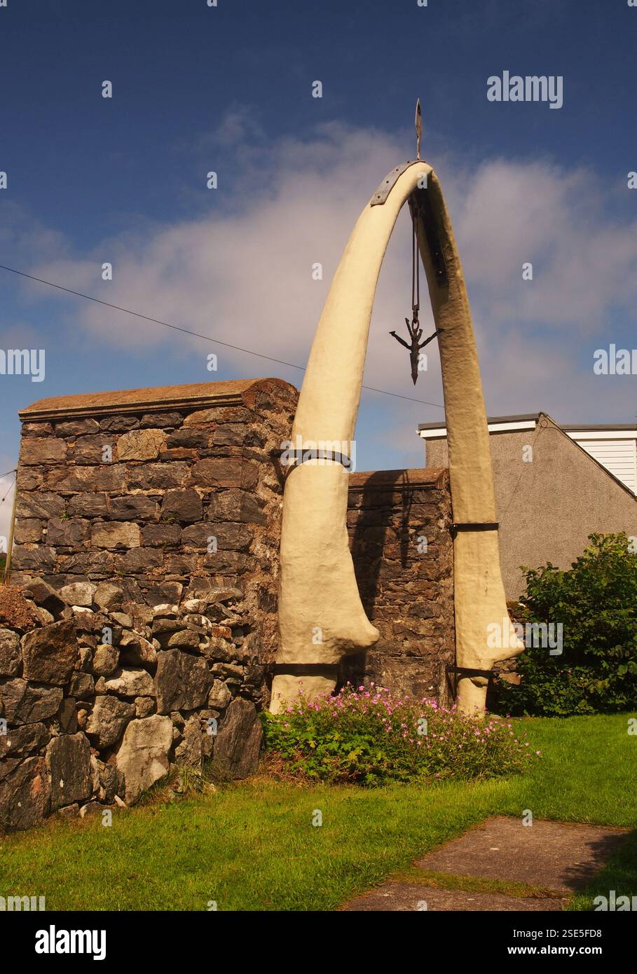 A huge, preseved whale bone set up as an arch in a domestic garden in ...