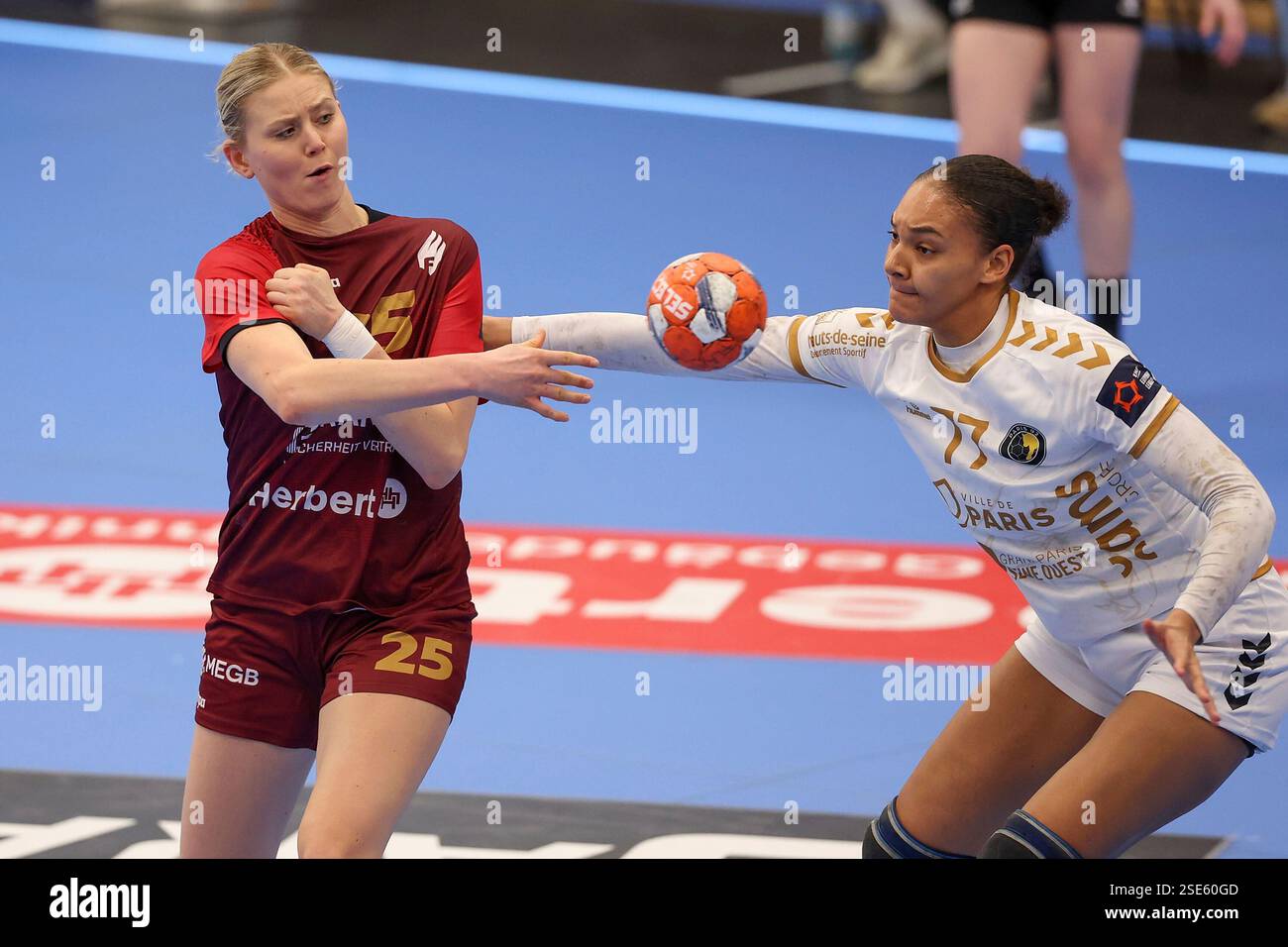 Elsenfeld, Deutschland. 08th Feb, 2025. Untermainhalle in Elsenfeld am ...