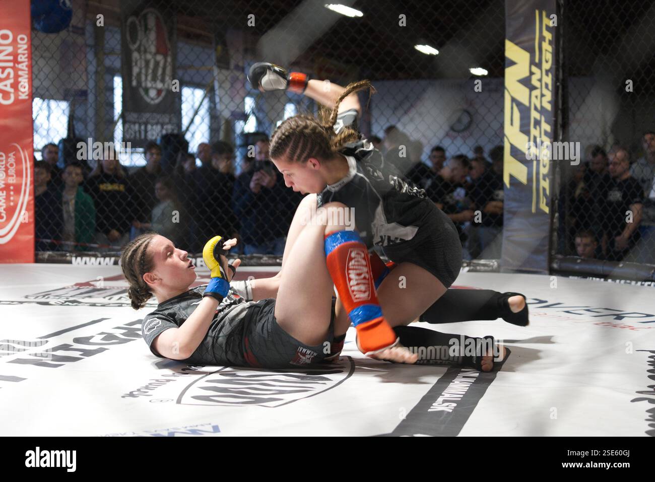 Mma ring hi-res stock photography and images - Alamy