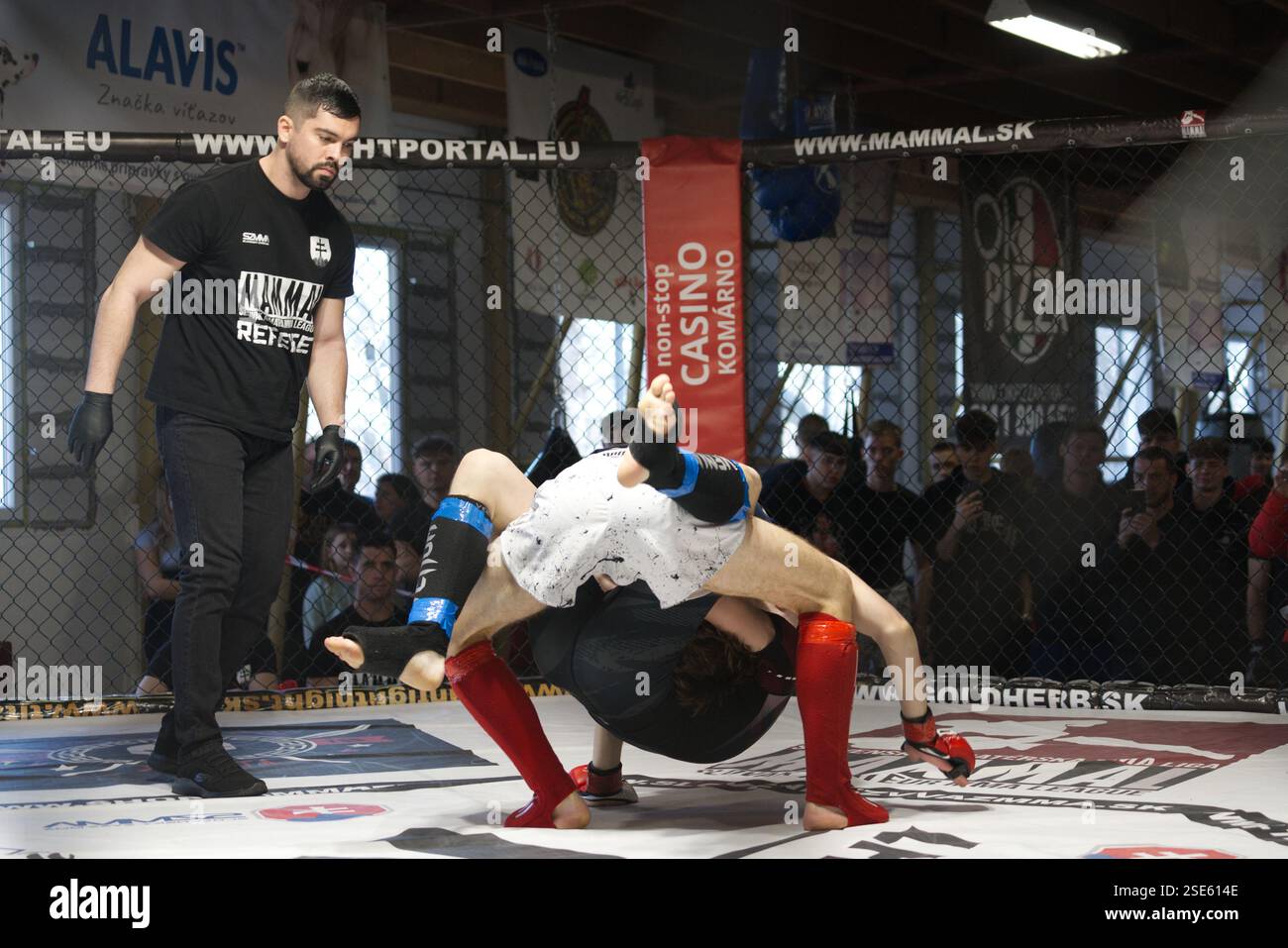 Two adult men intense fighting in the octagon ring at MAMMAL 51 Slovak ...