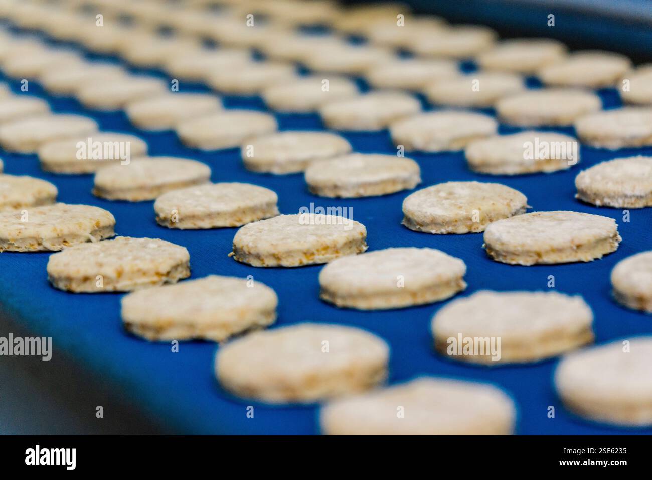 "Gori de Muro" sailor biscuits, typical double-baked Majorcan biscuits ...