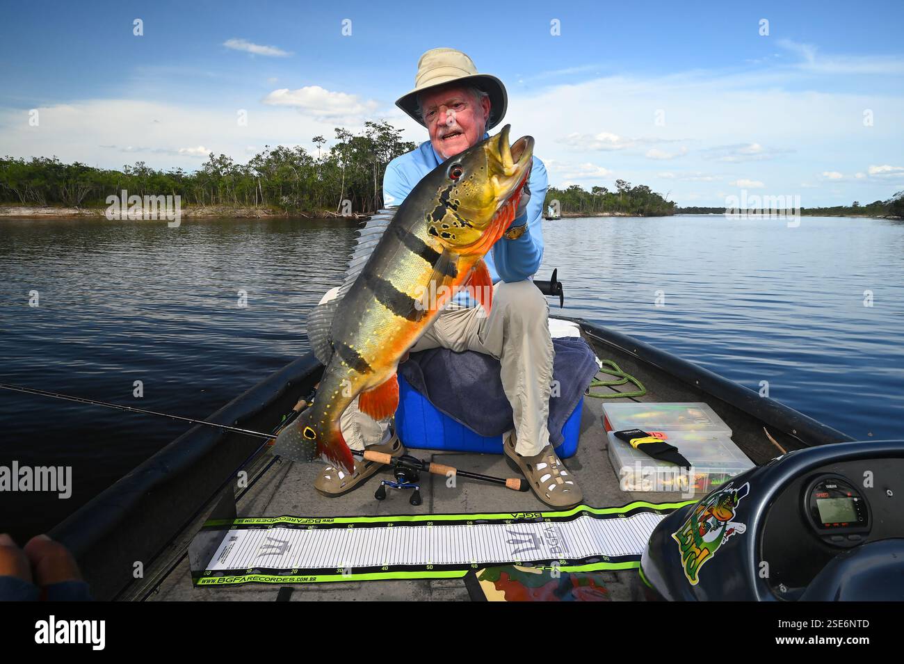 An angler lifts a giant 17-pound peacock bass that fell for a Road ...