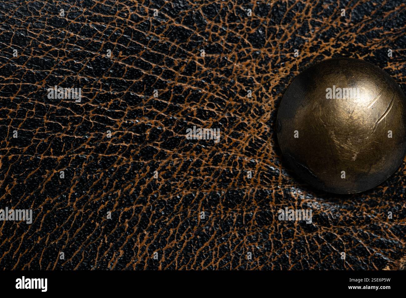 Closeup metal rivet on background of skin texture Stock Photo - Alamy