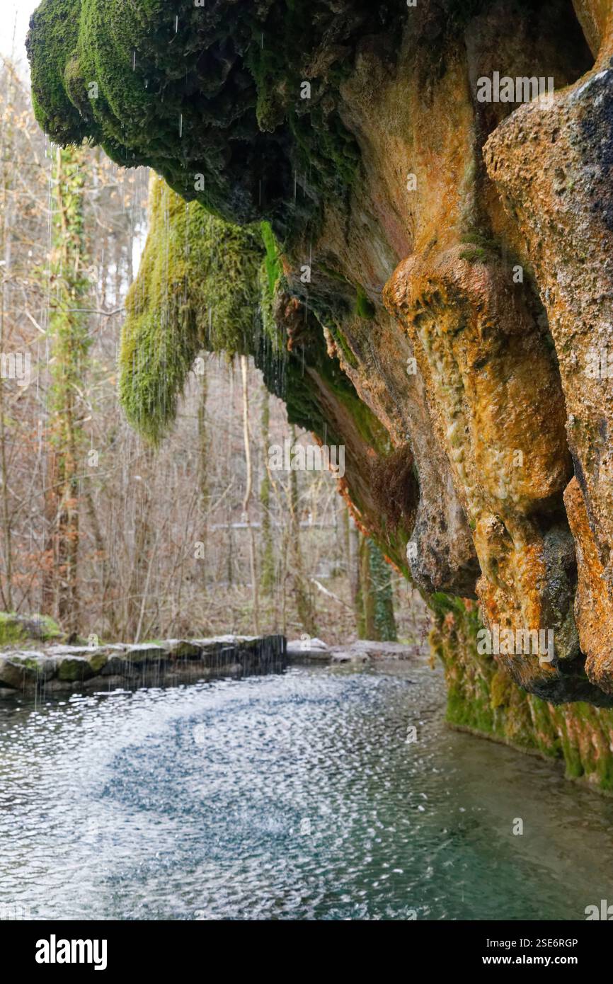 Sideview of a tufa source during winter in the Mullerthal region in ...